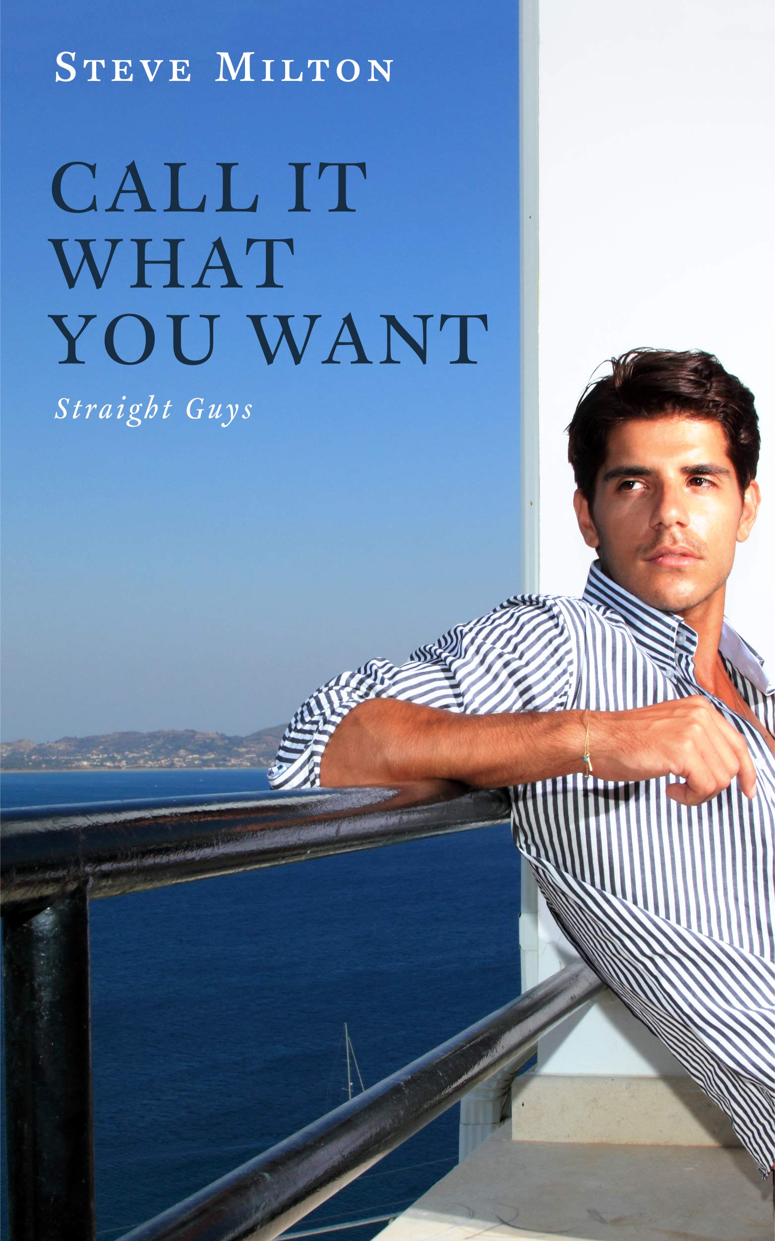 Call It What You Want (Straight Guys #12) by Steve Milton | Goodreads