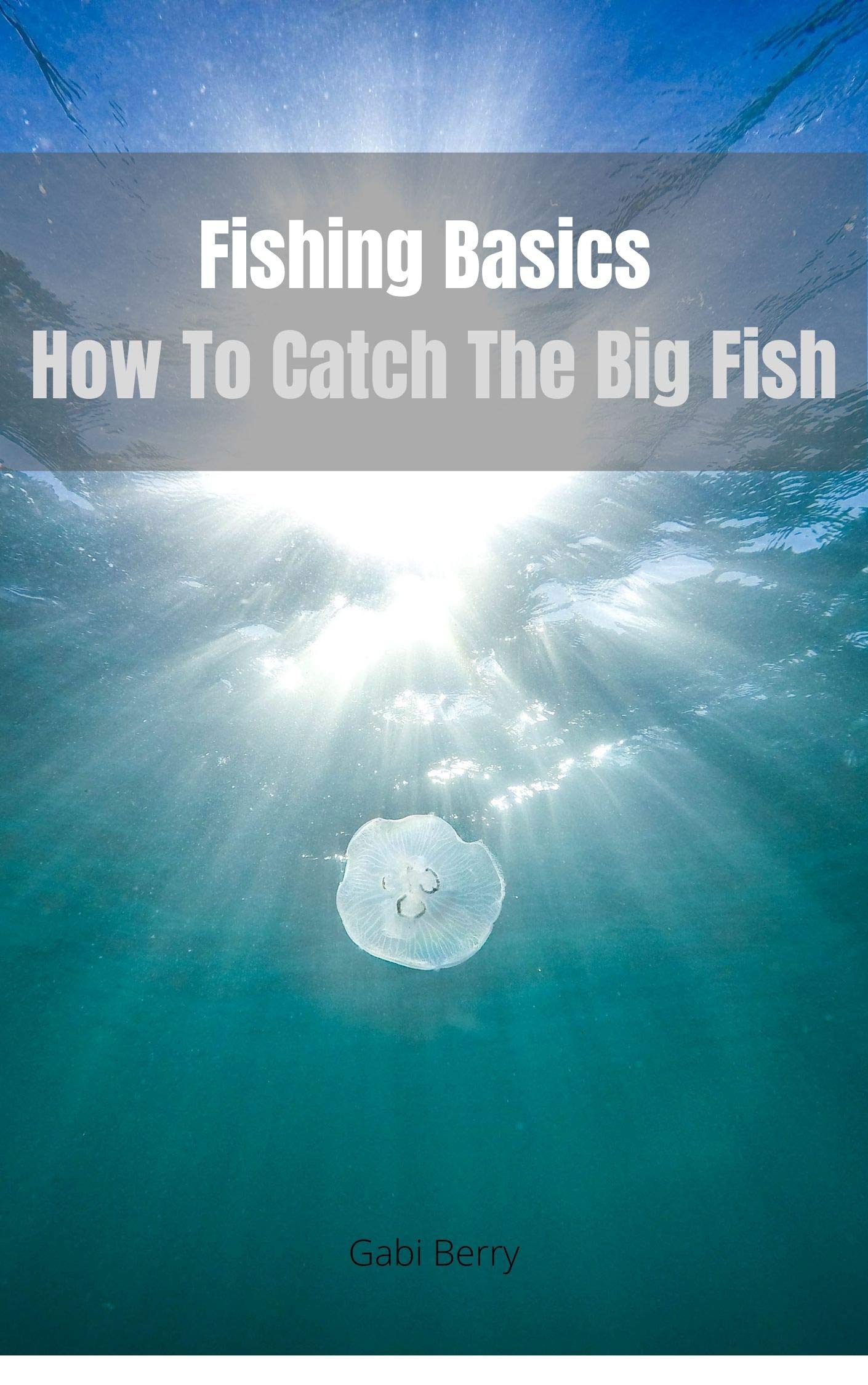 Fishing Basics : How To Catch The Big Fish by Gabi Berry | Goodreads