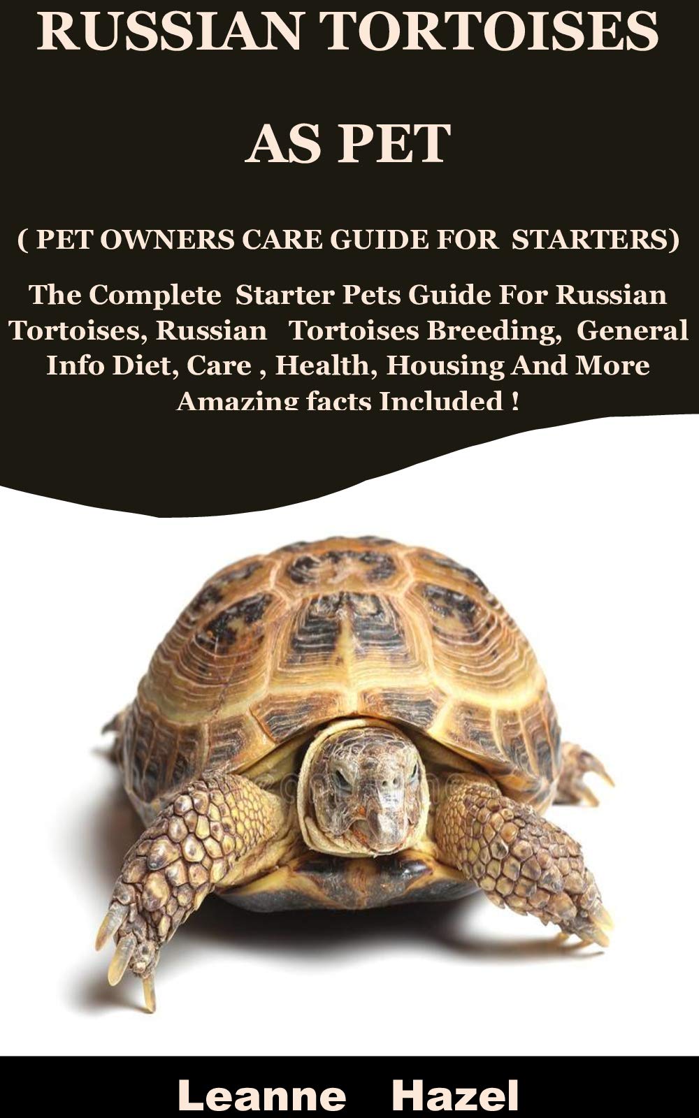 Pet Russian Tortoise