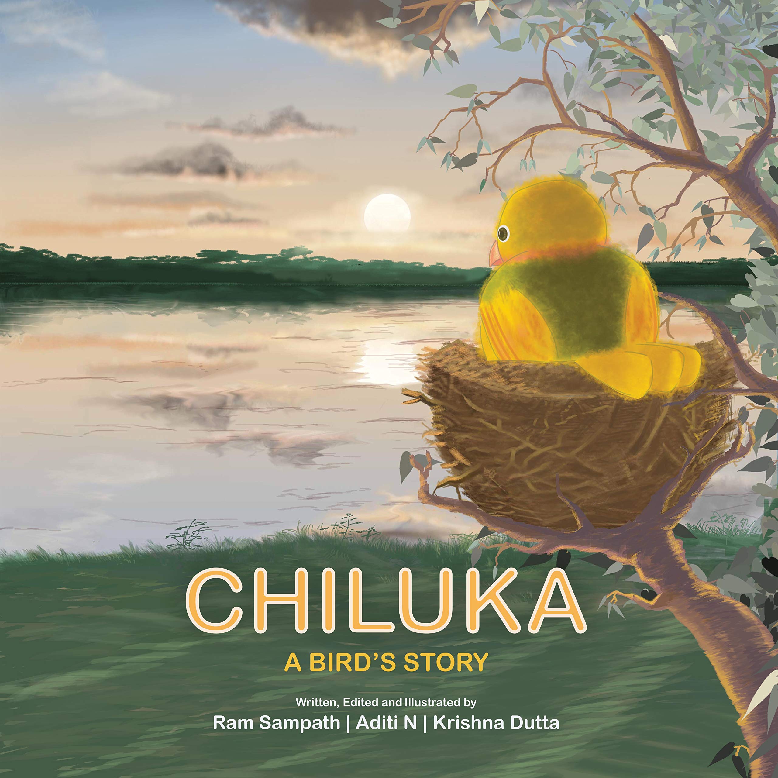 Chiluka: A Bird's Story by Ram Sampath | Goodreads