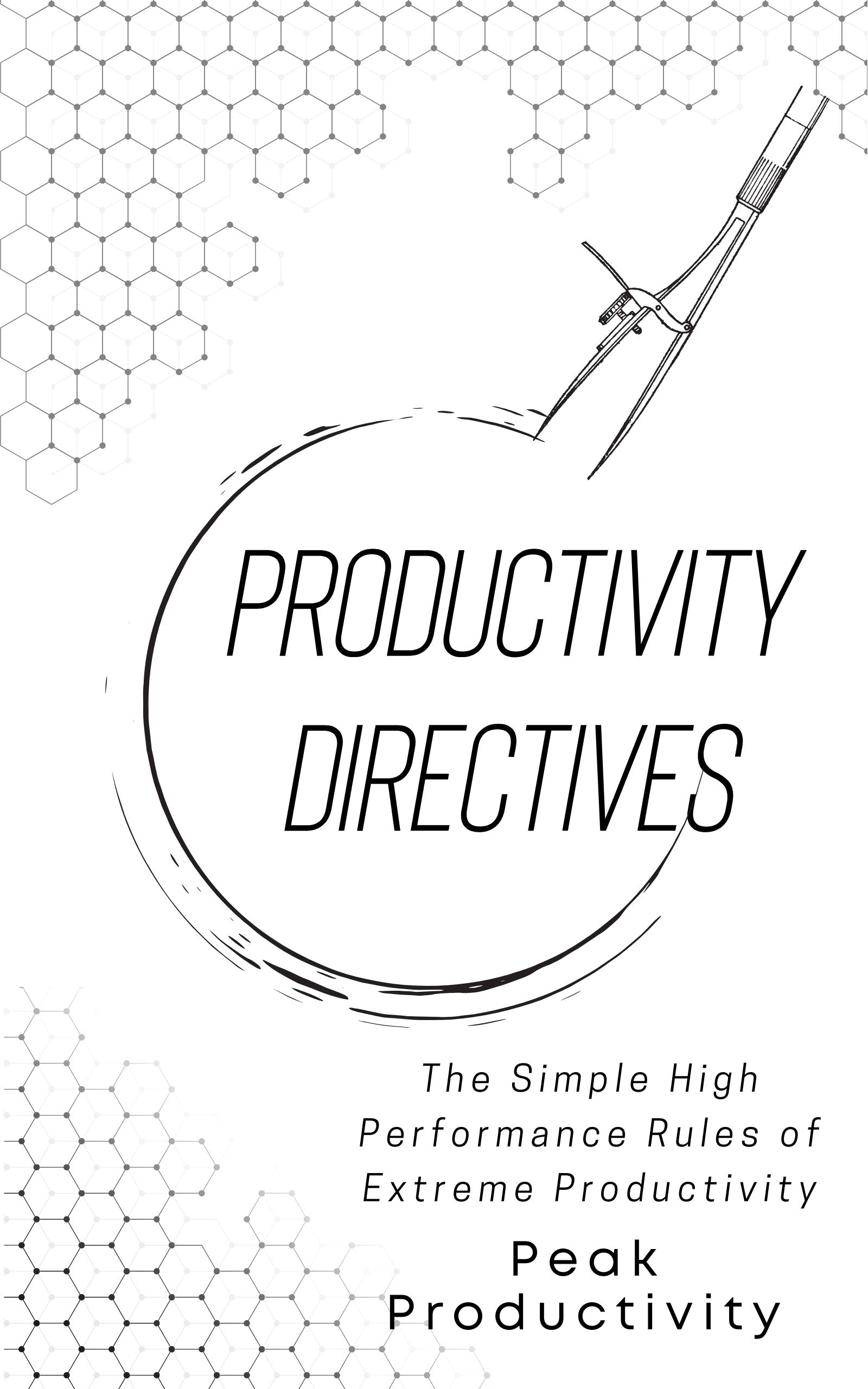 Productivity Directives: The Simple High Performance Rules of Extreme Productivity by Peak ...