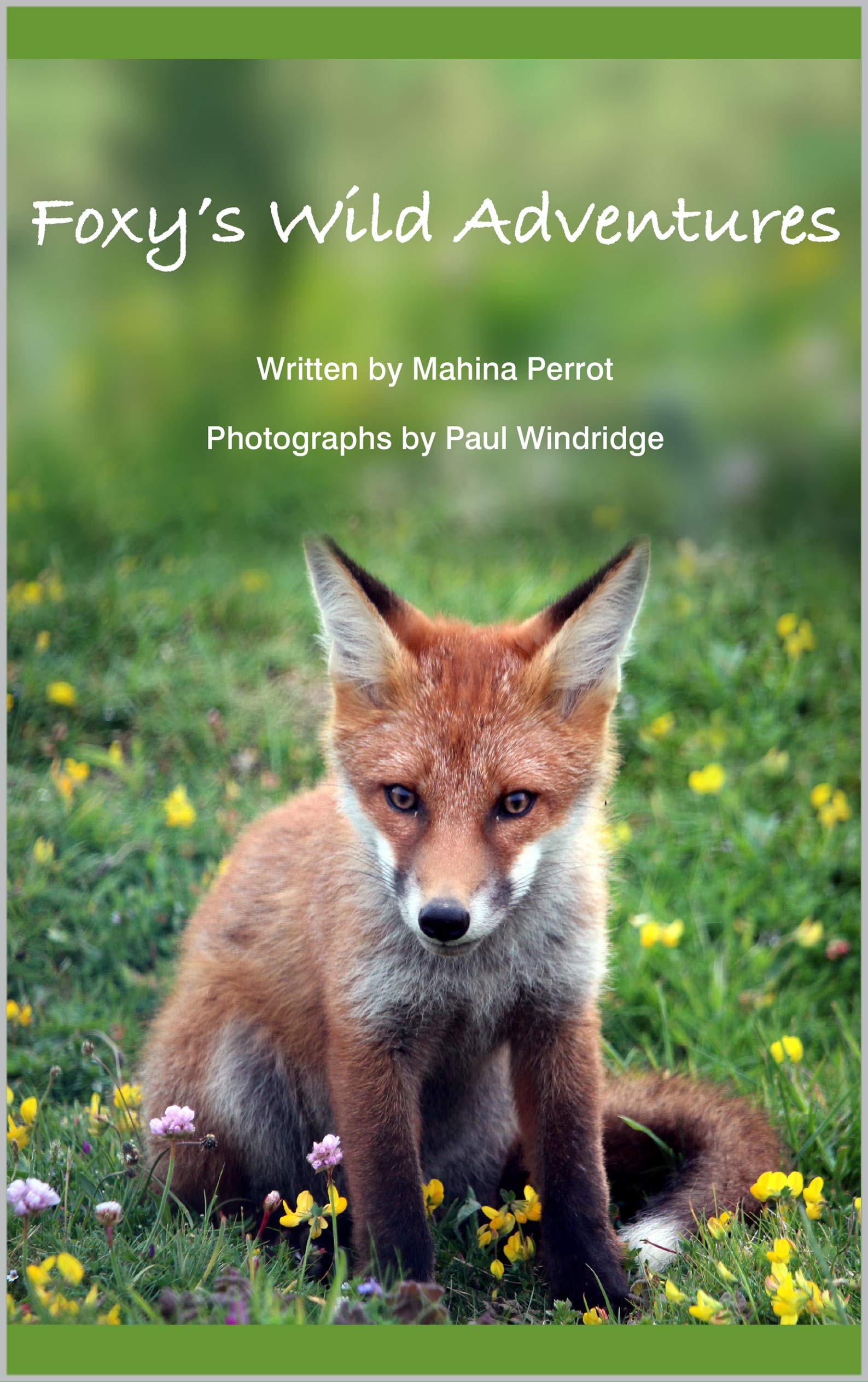 Foxy's Wild Adventures by Mahina Perrot | Goodreads