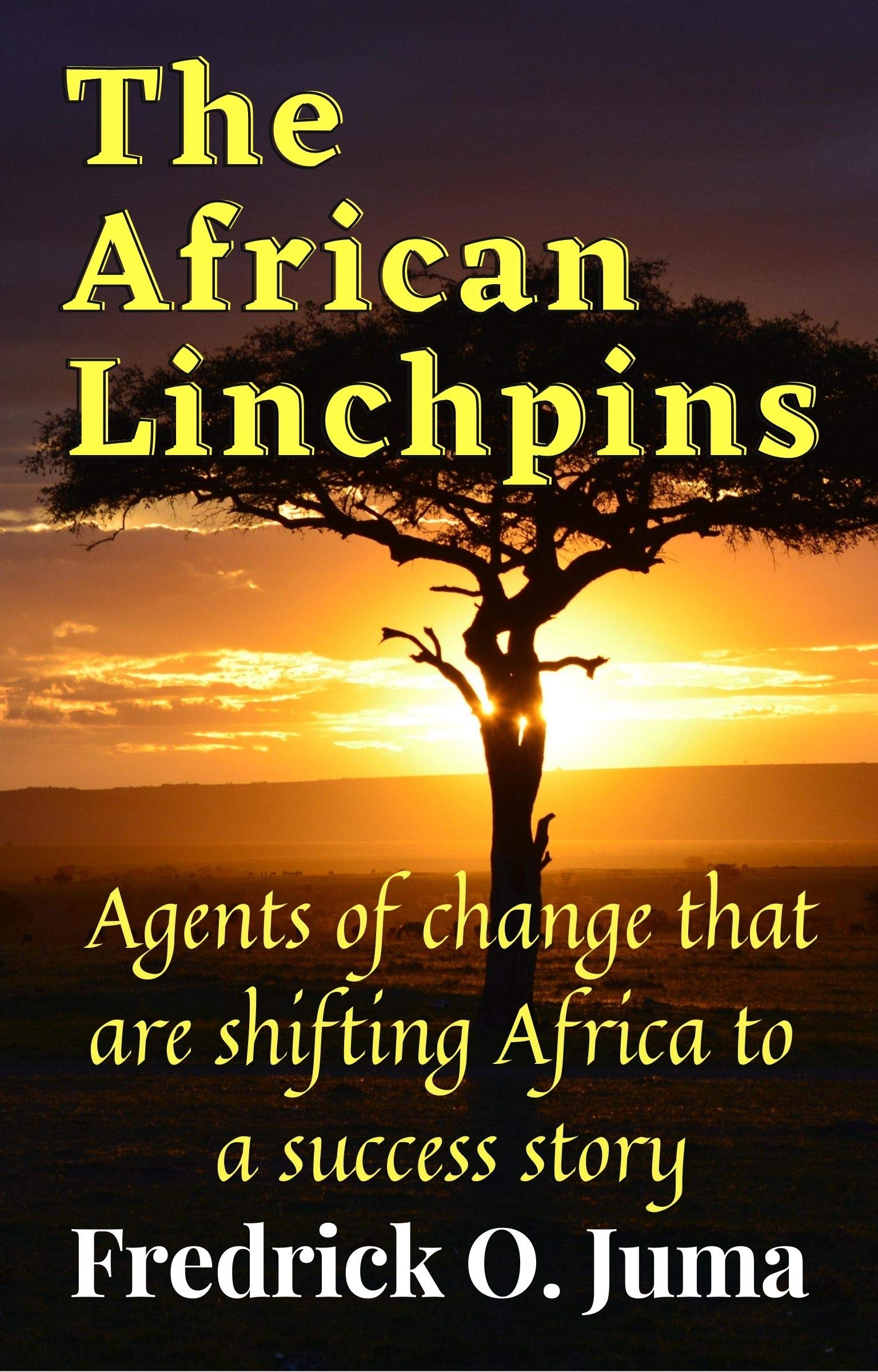 The African Linchpins: Agents of change that are shifting Africa to a ...