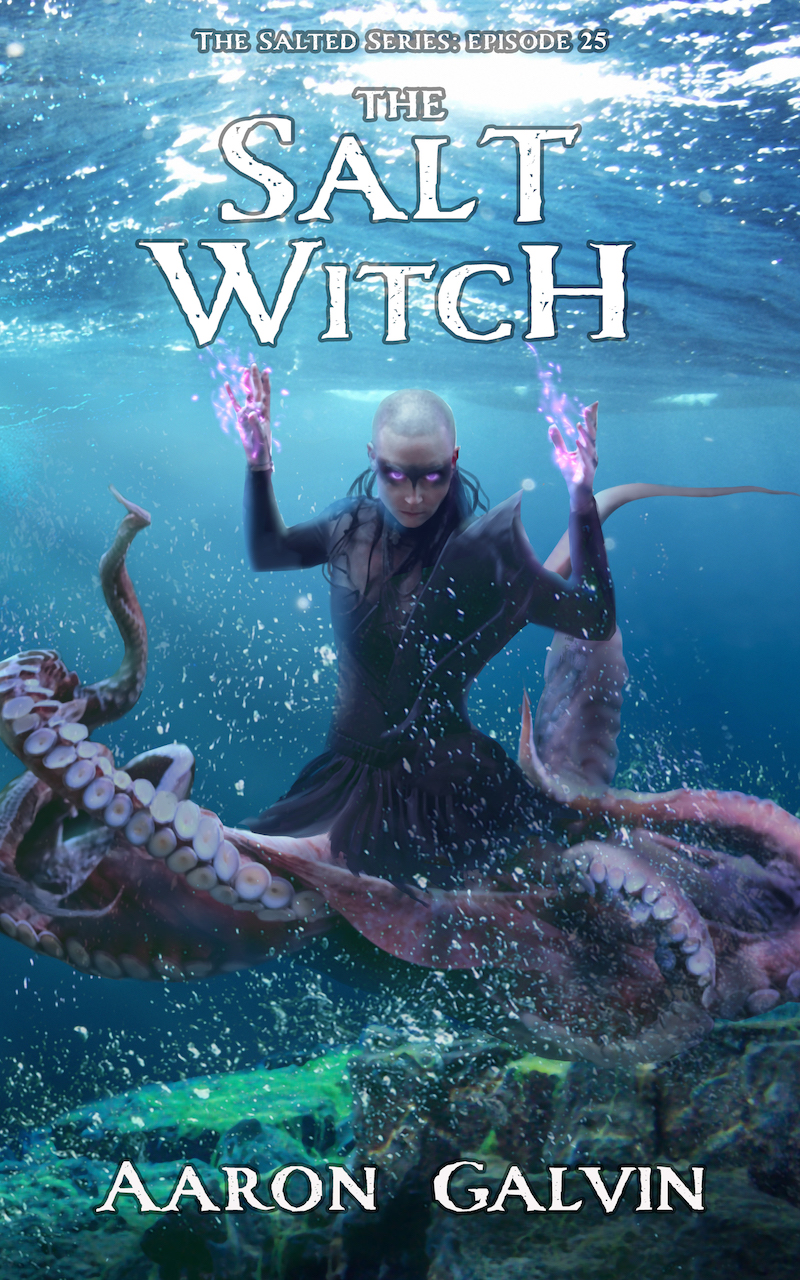 The Salt Witch (The Salted #25) by Aaron Galvin | Goodreads