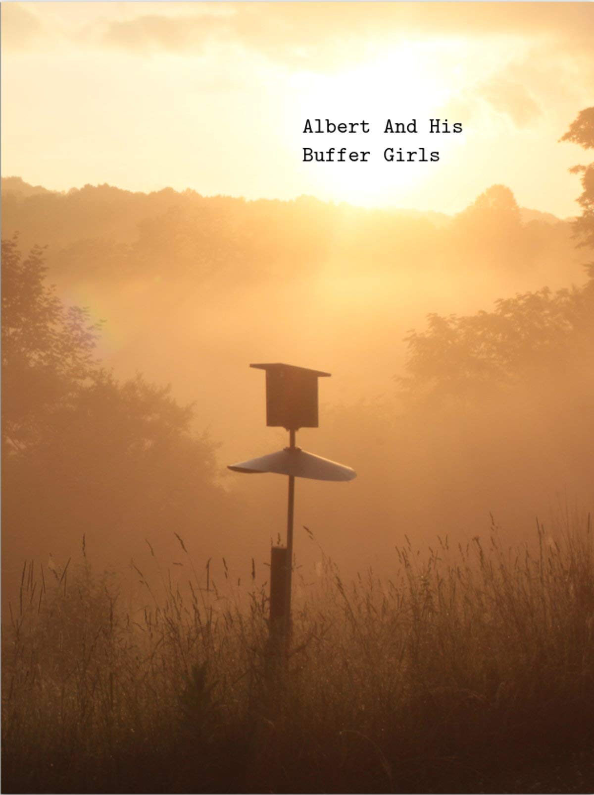 Albert and His Buffer Girls: A So-Ridculous-It-Could-be-True ...