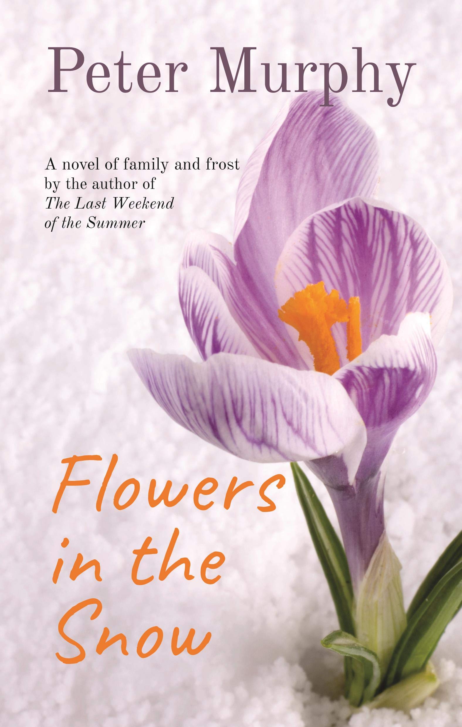 Flowers in the Snow: A Novel of Family and Frost by Peter Murphy ...