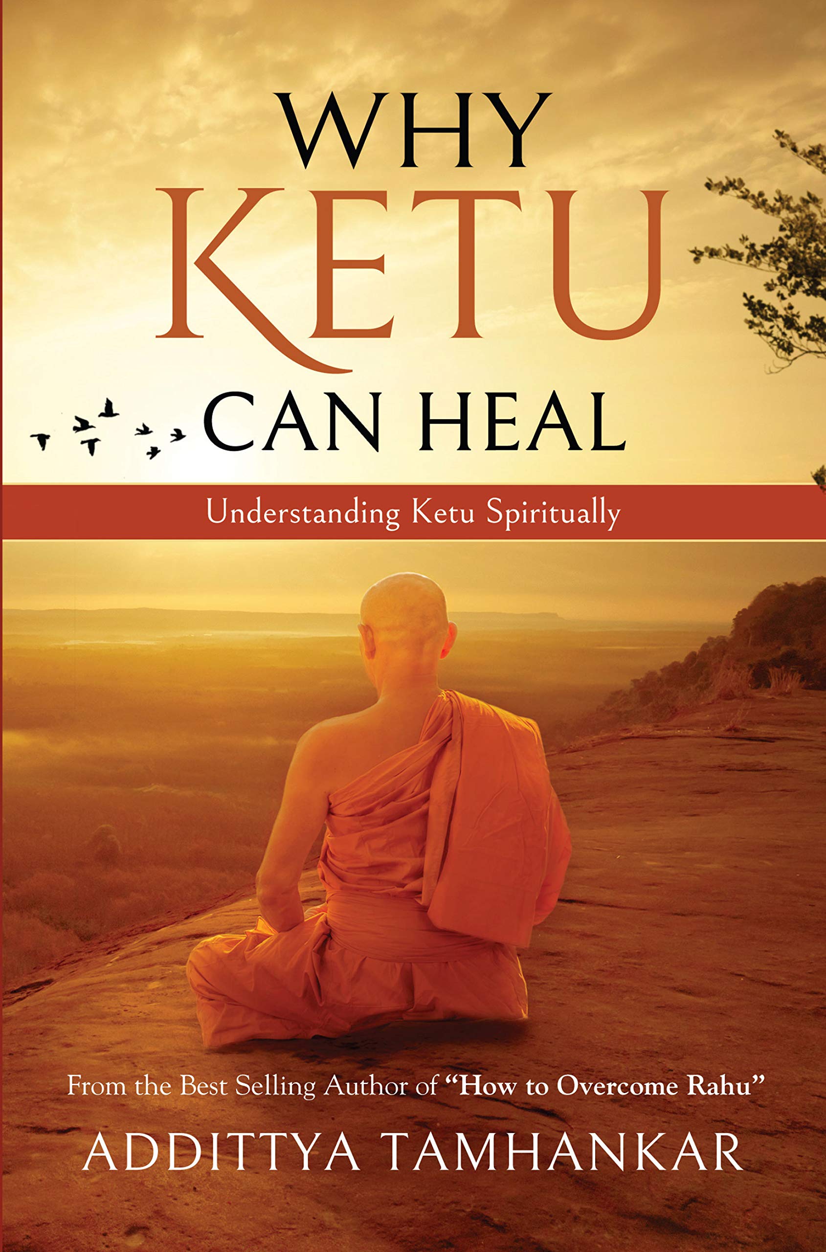 WHY KETU CAN HEAL? Understanding Ketu Spiritually by Addittya Tamhankar ...