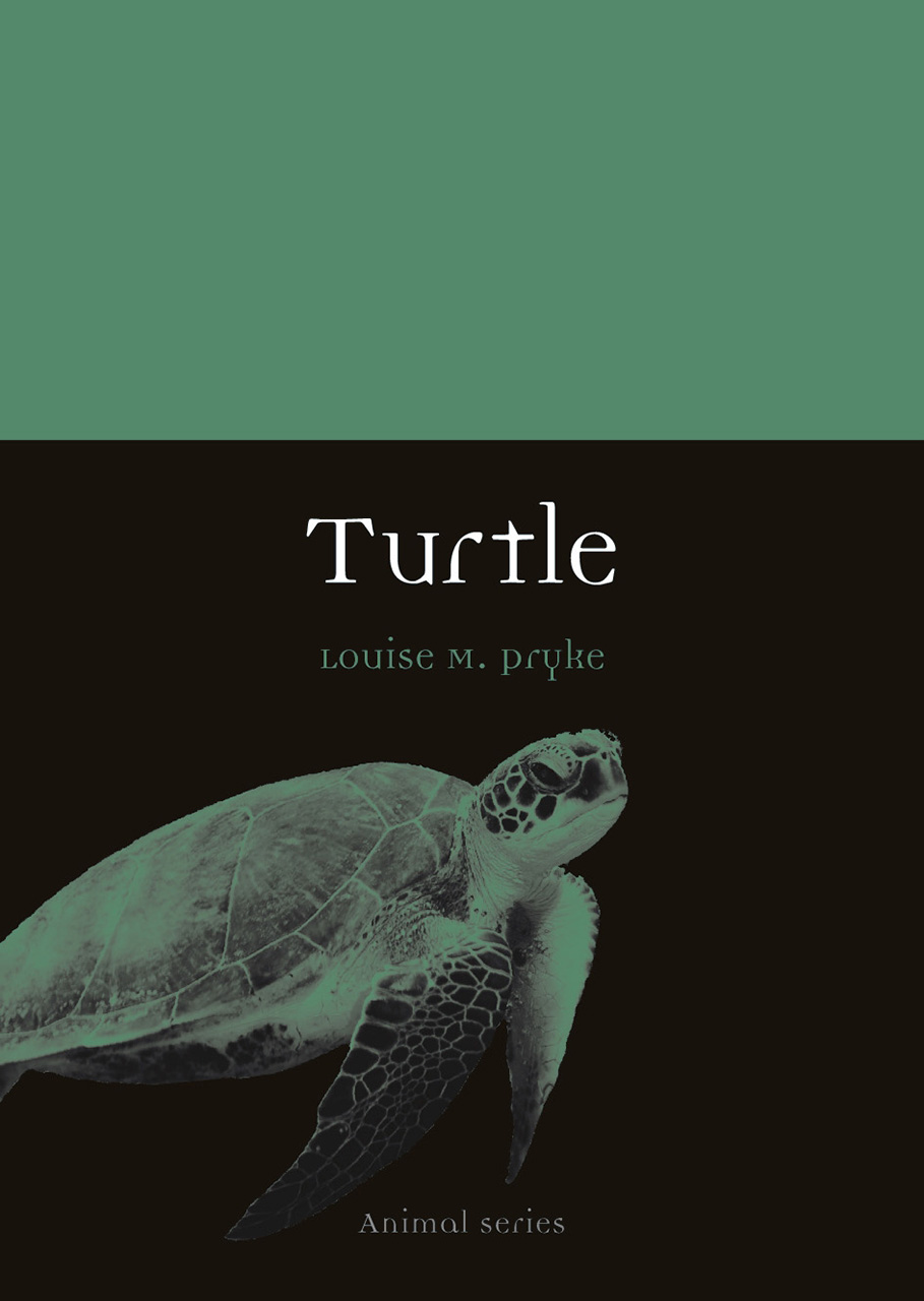 Turtle (Animal) by Louise M. Pryke | Goodreads