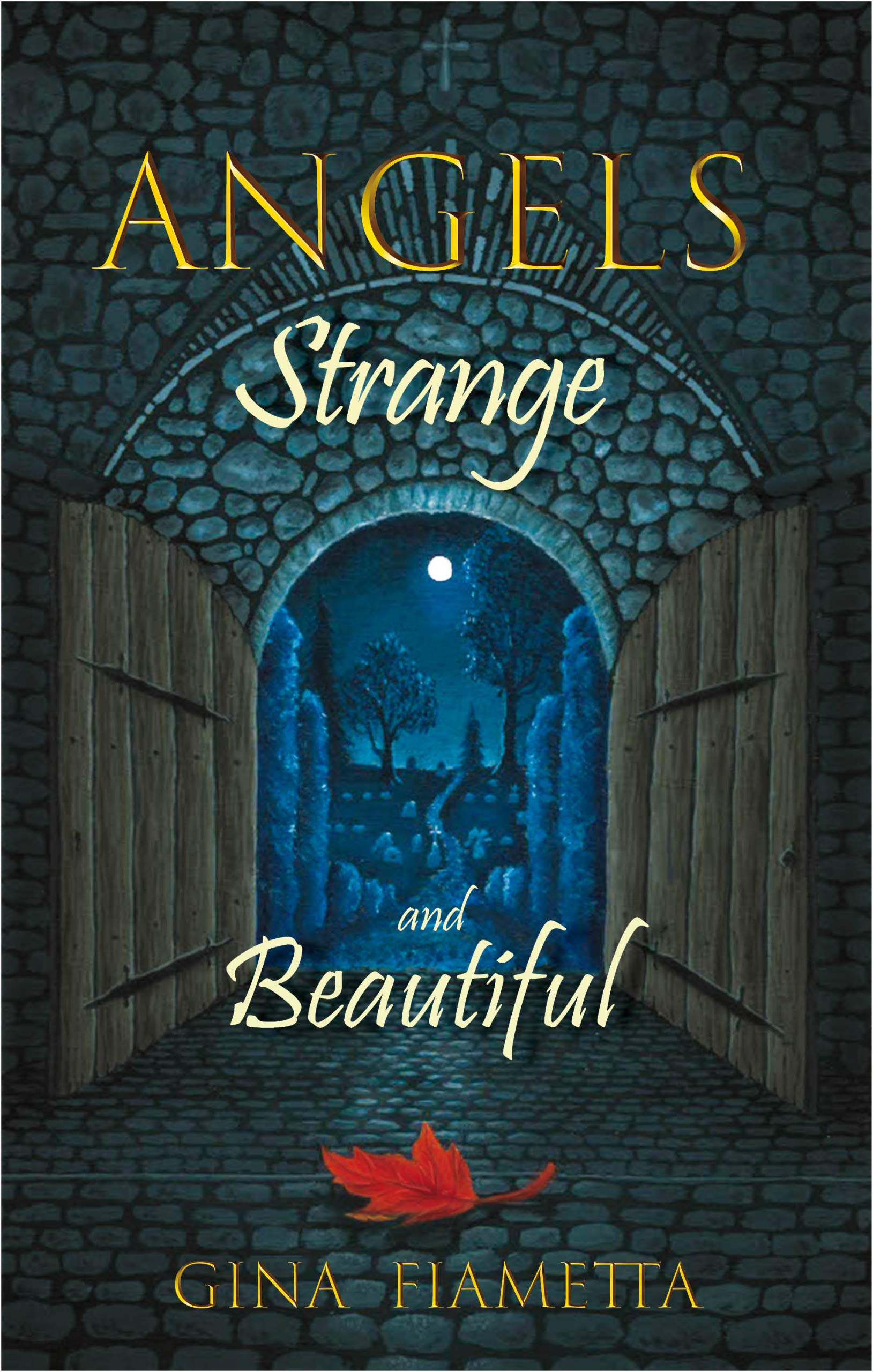 Angels Strange and Beautiful by Gina Fiametta | Goodreads