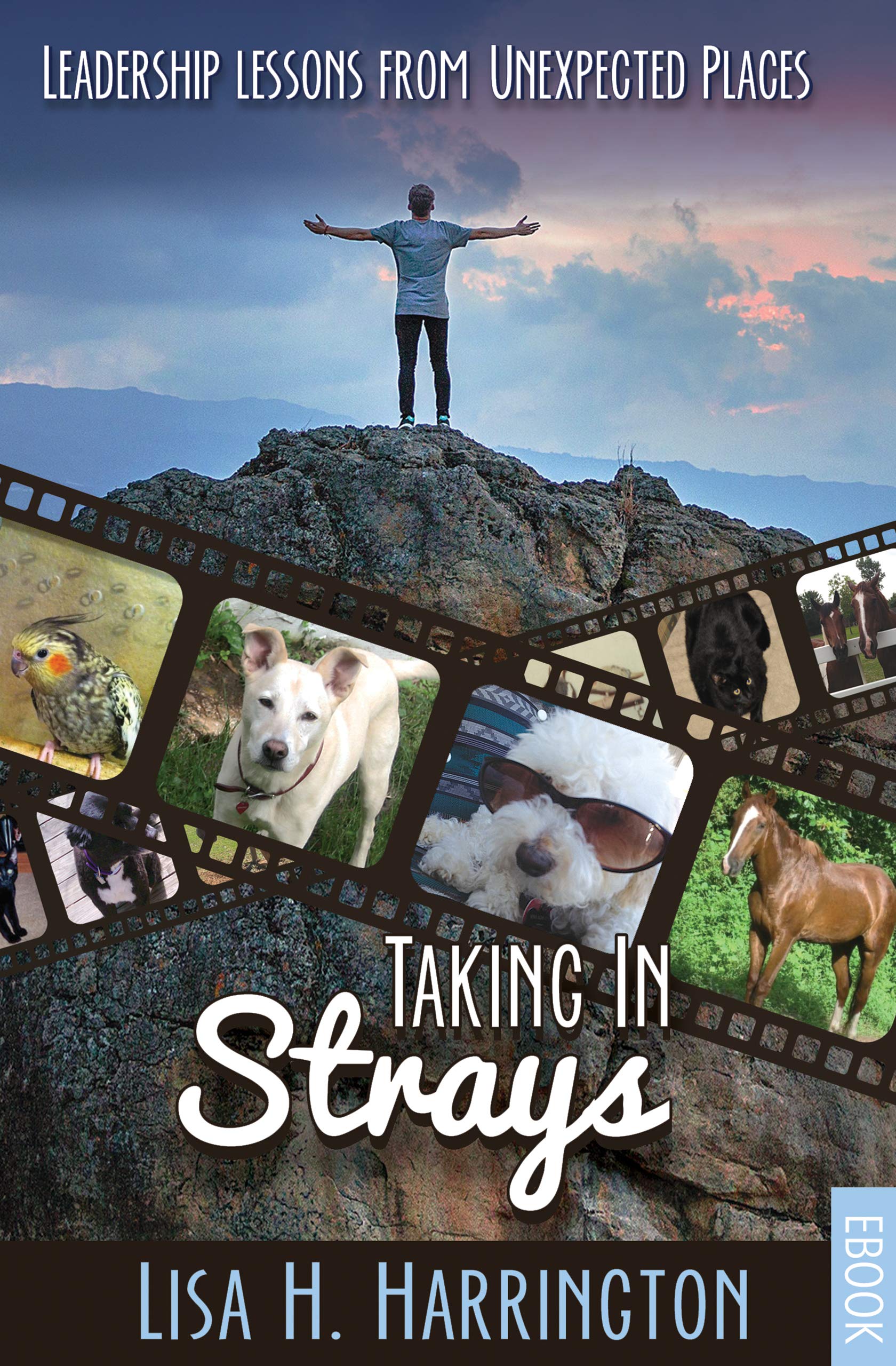 Taking In Strays: Leadership Lessons From Unexpected Places by Lisa ...