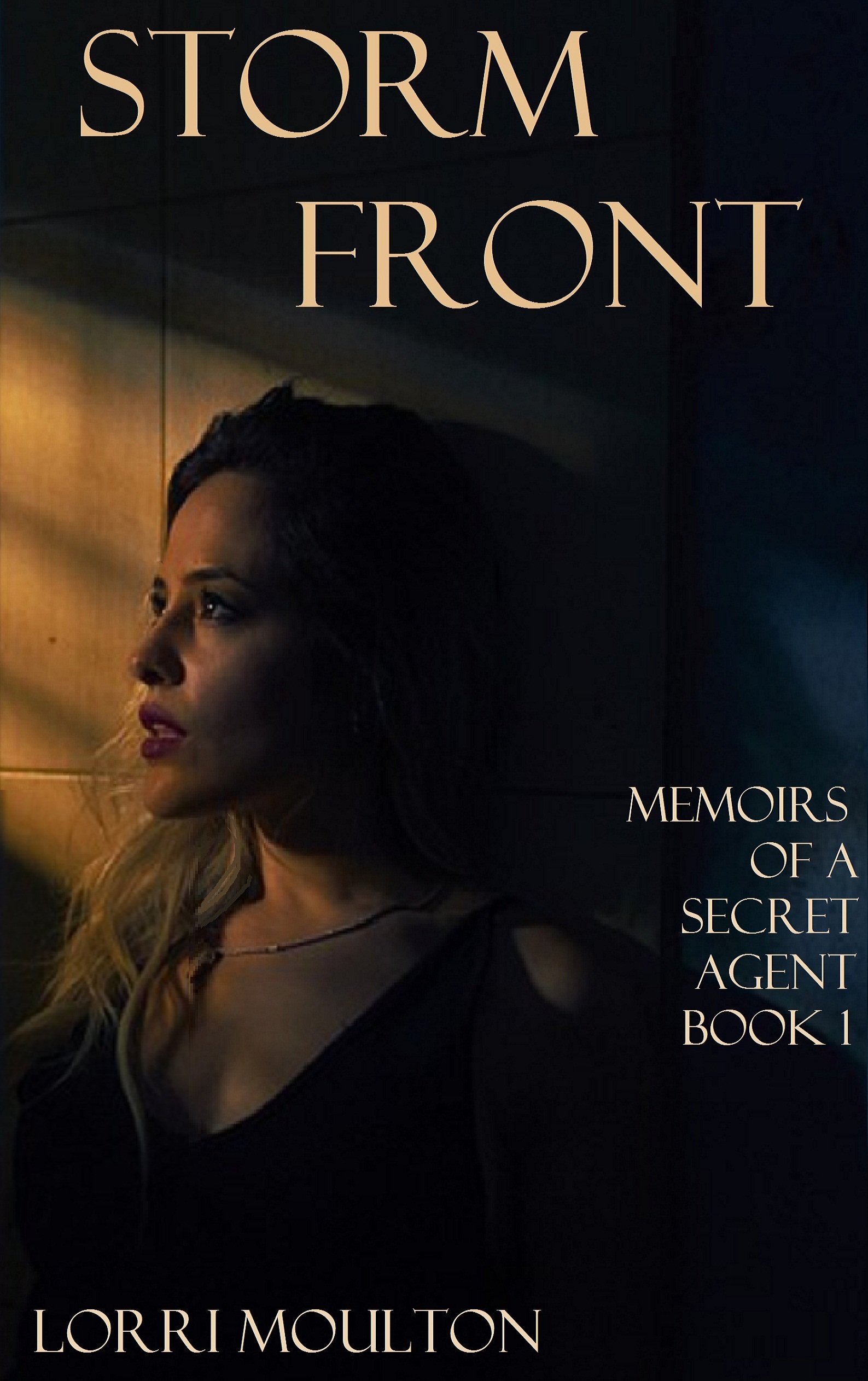Storm Front: Memoirs of A Secret Agent by Jazzmyn Storm | Goodreads