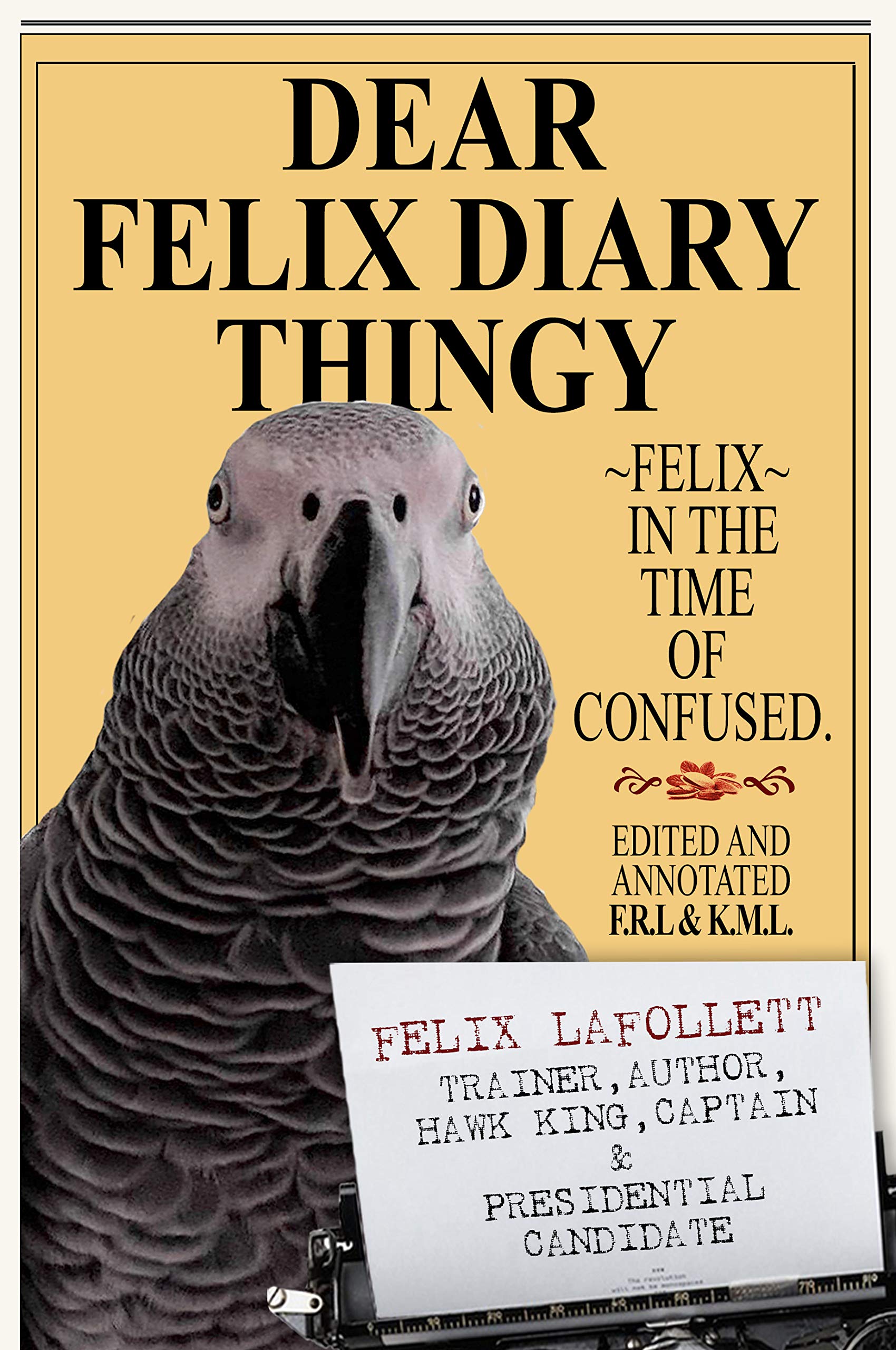 Dear Felix Diary Thingy: Felix in the Time of Confused by Kathy ...