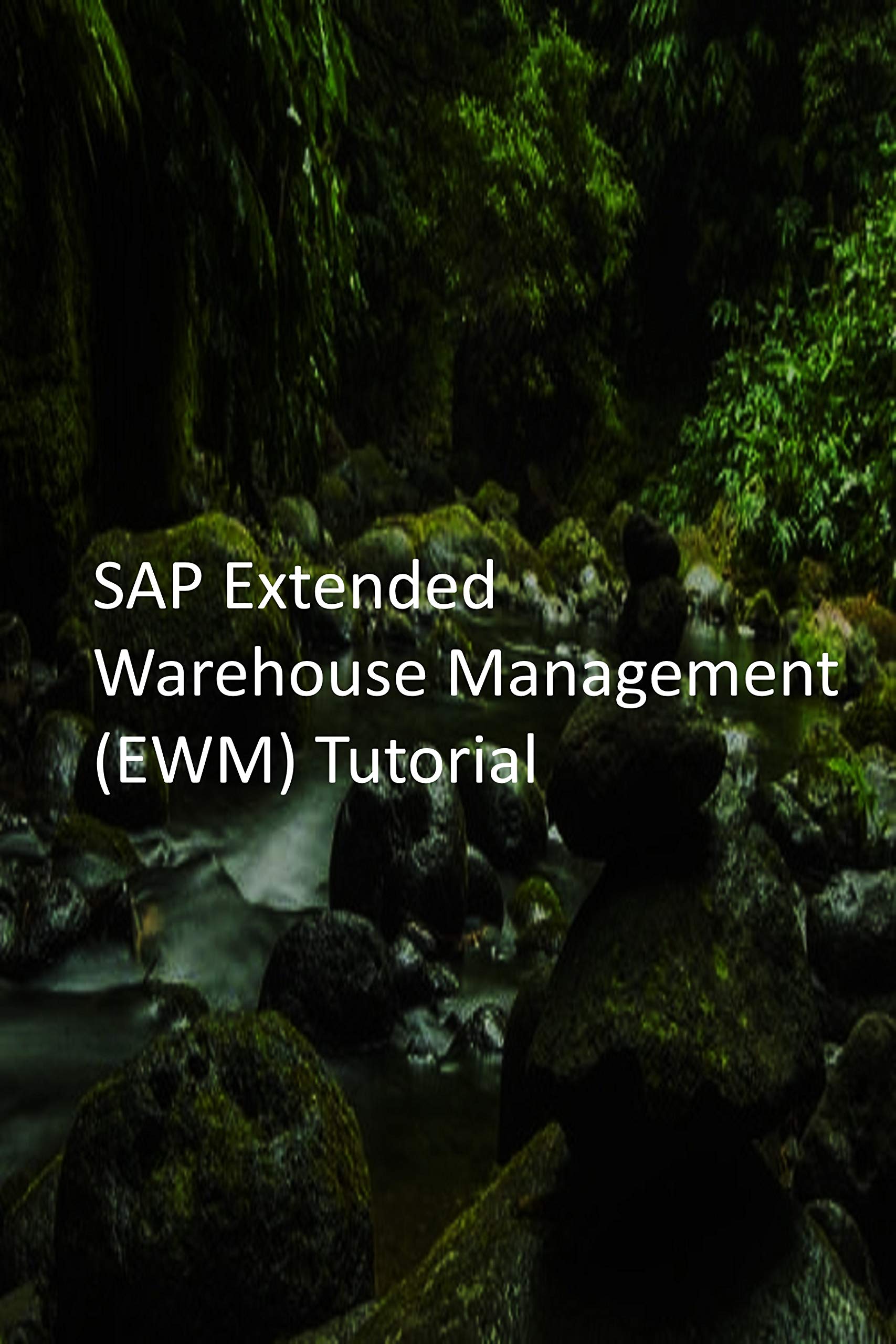 SAP Extended Warehouse Management (EWM) Tutorial by Drakas Evlbyne ...