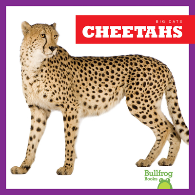 Cheetahs (Bullfrog Books: Big Cats) by Marie Brandle | Goodreads