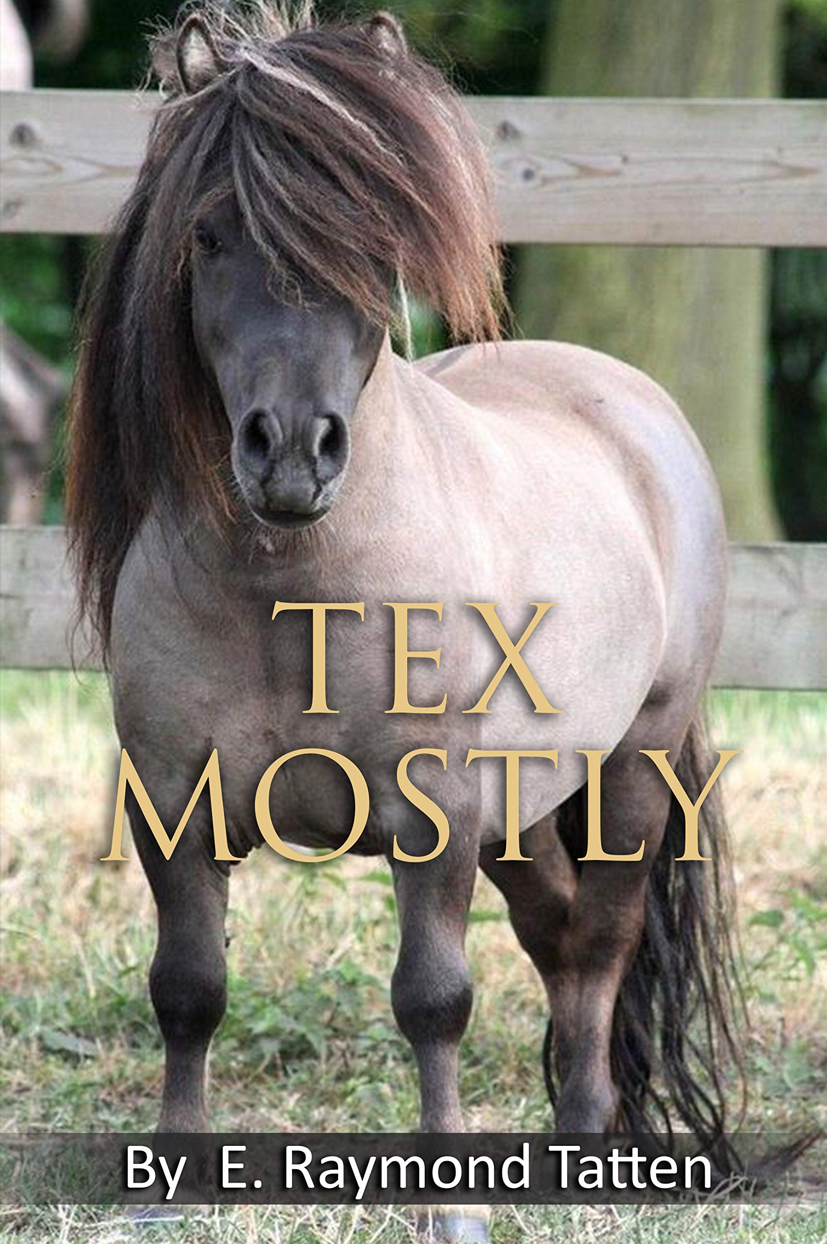 TEX MOSTLY by E. Raymond Tatten | Goodreads
