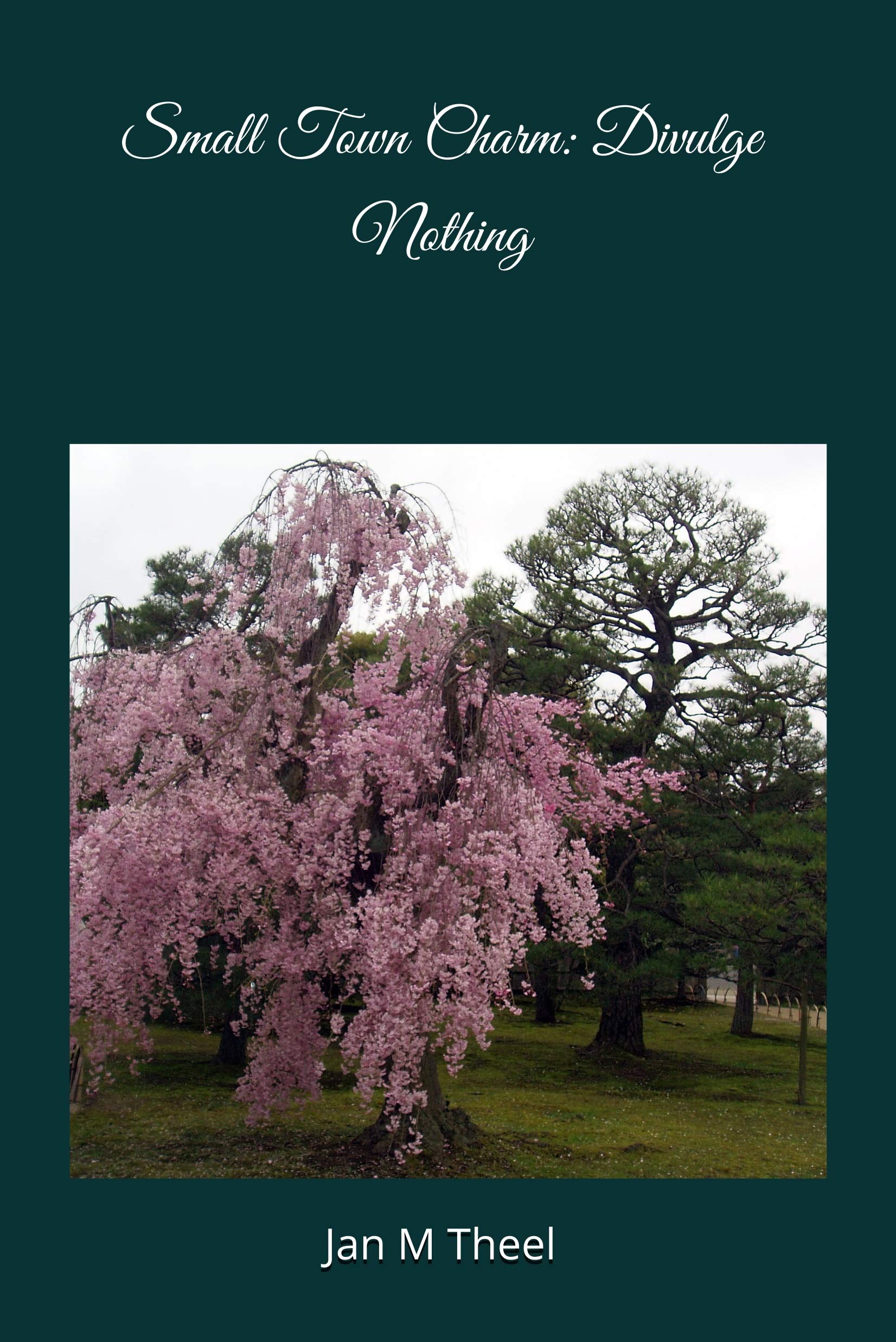Small Town Charm: Divulge Nothing by Jan M Theel | Goodreads