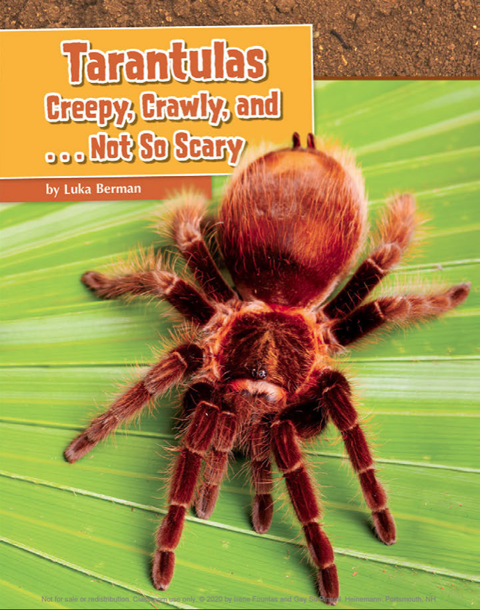 Tarantulas: Creepy Crawly, and ... Not So Scary by Luka Berman | Goodreads