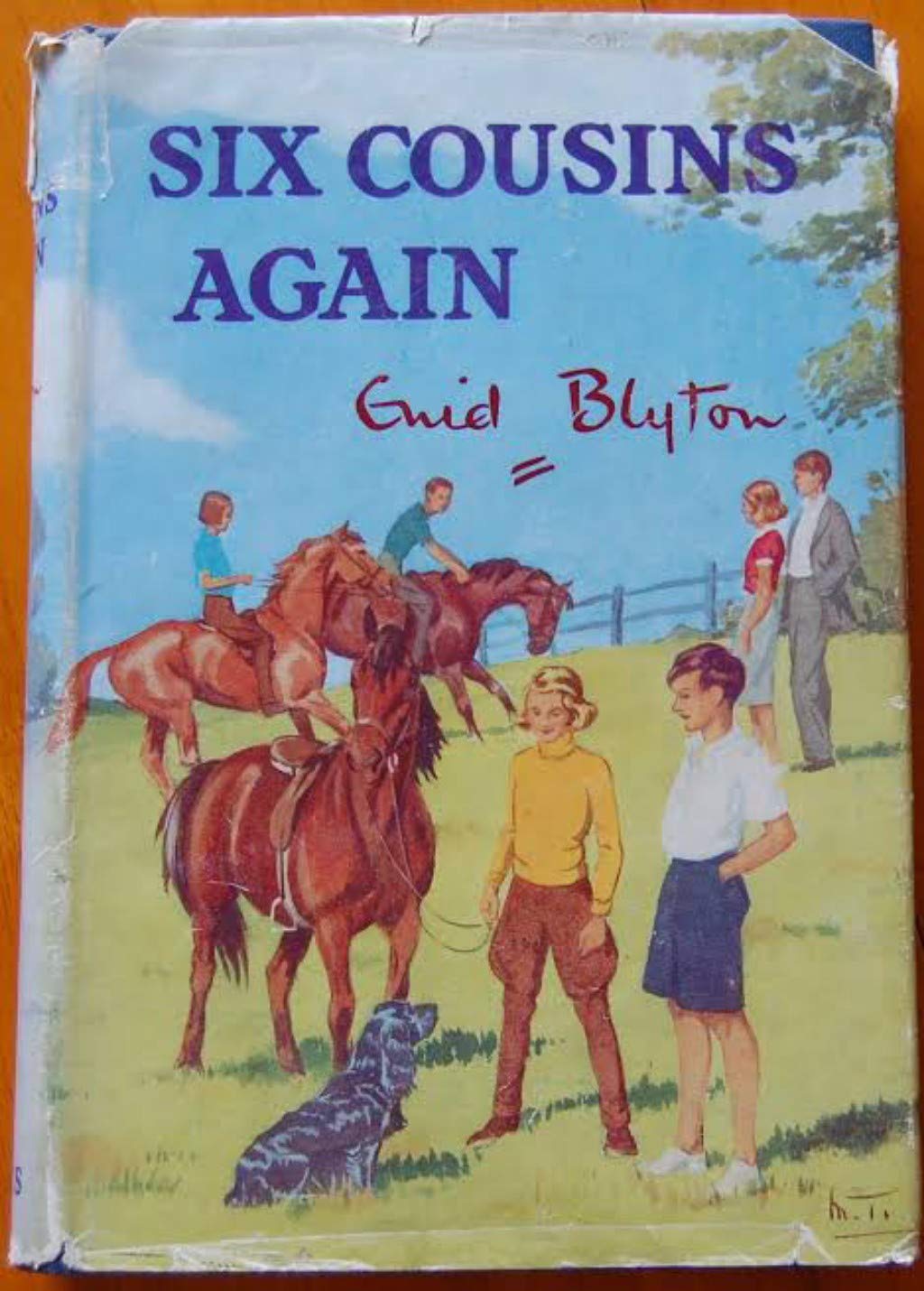 Six Cousins at Mistletoe Farm (Six Cousins #1) by Enid Blyton | Goodreads