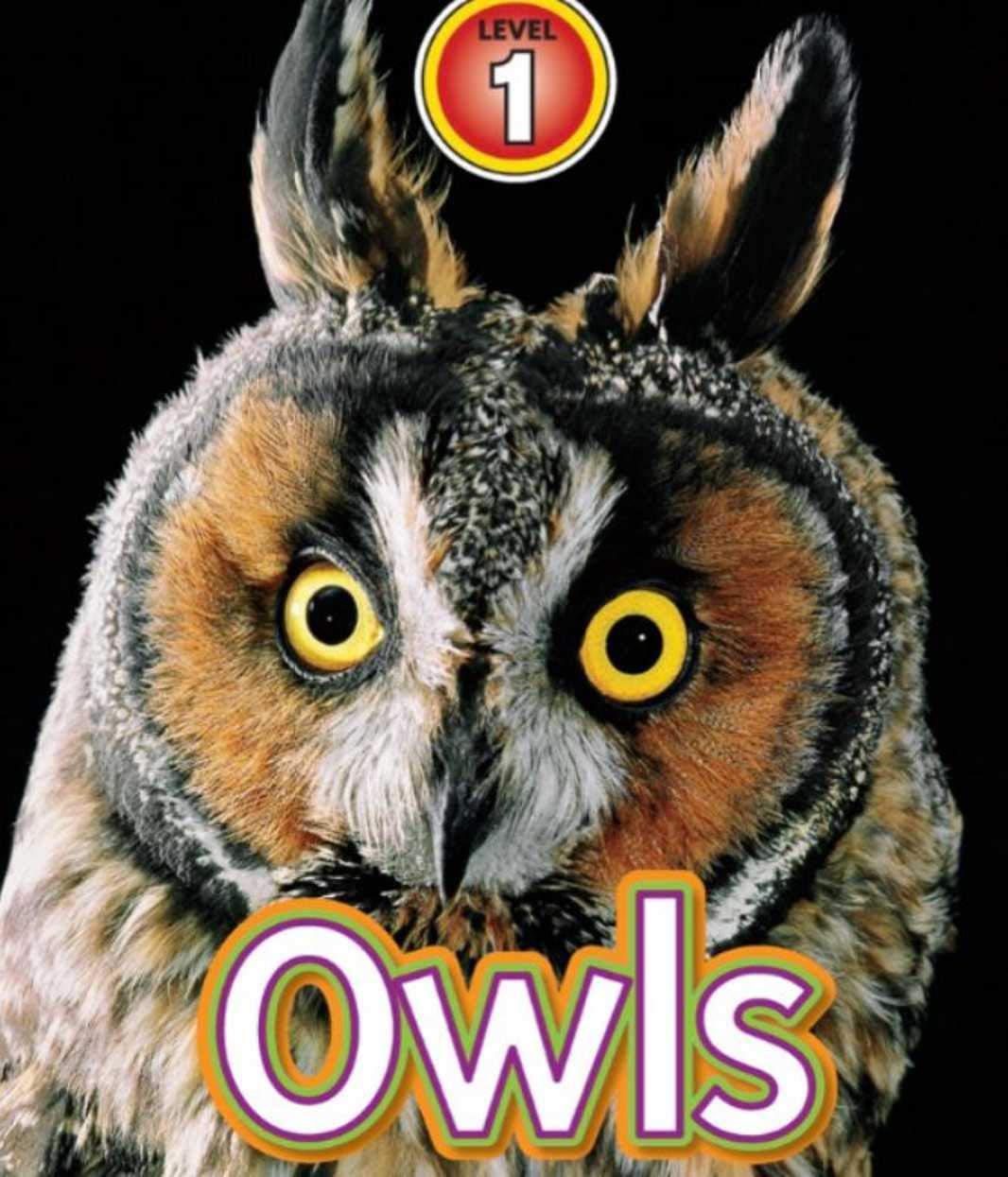 OWLS: Children s Picture Book by Sam Patterson | Goodreads