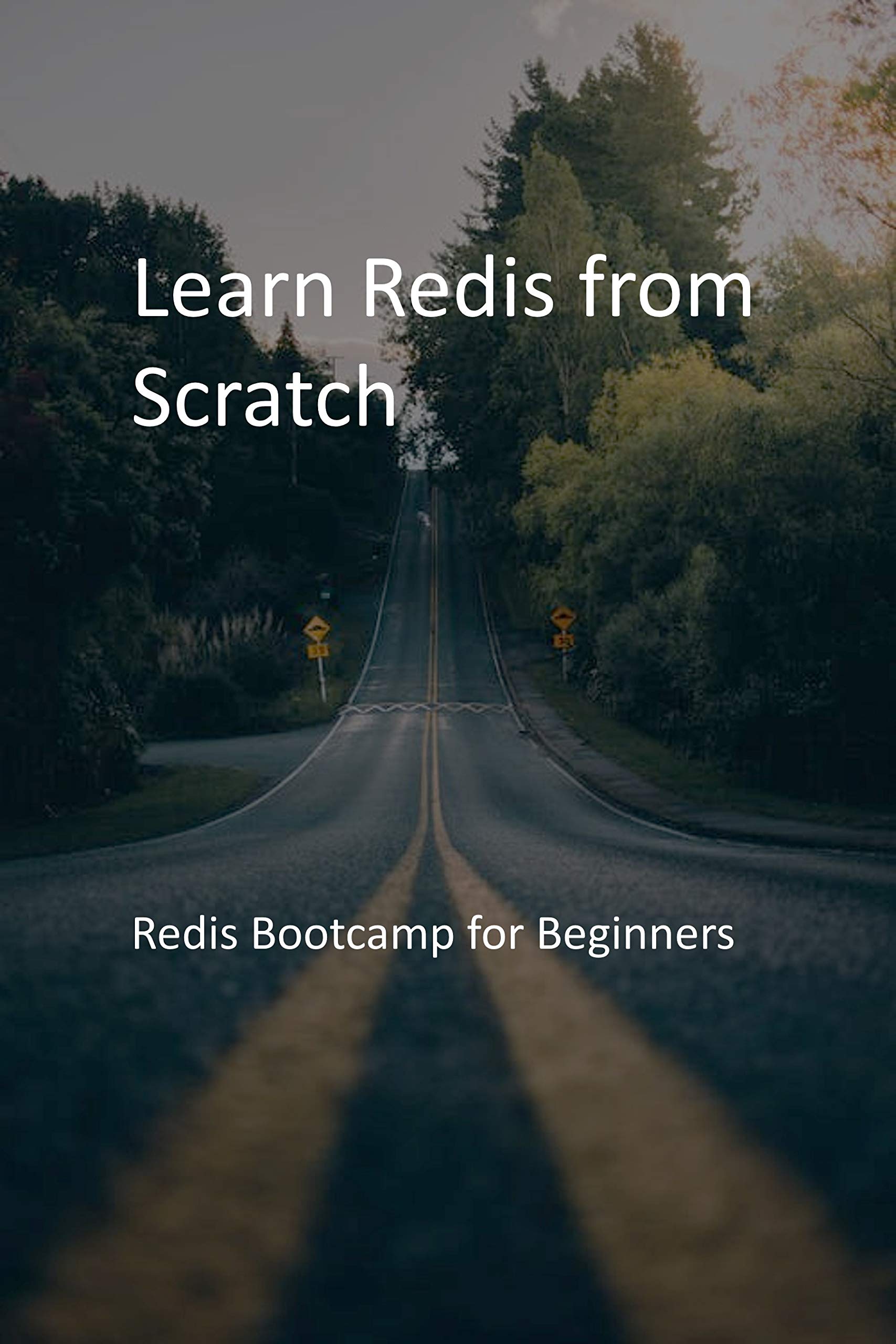 Learn Redis from Scratch: Redis Bootcamp for Beginners by Animadlu ...