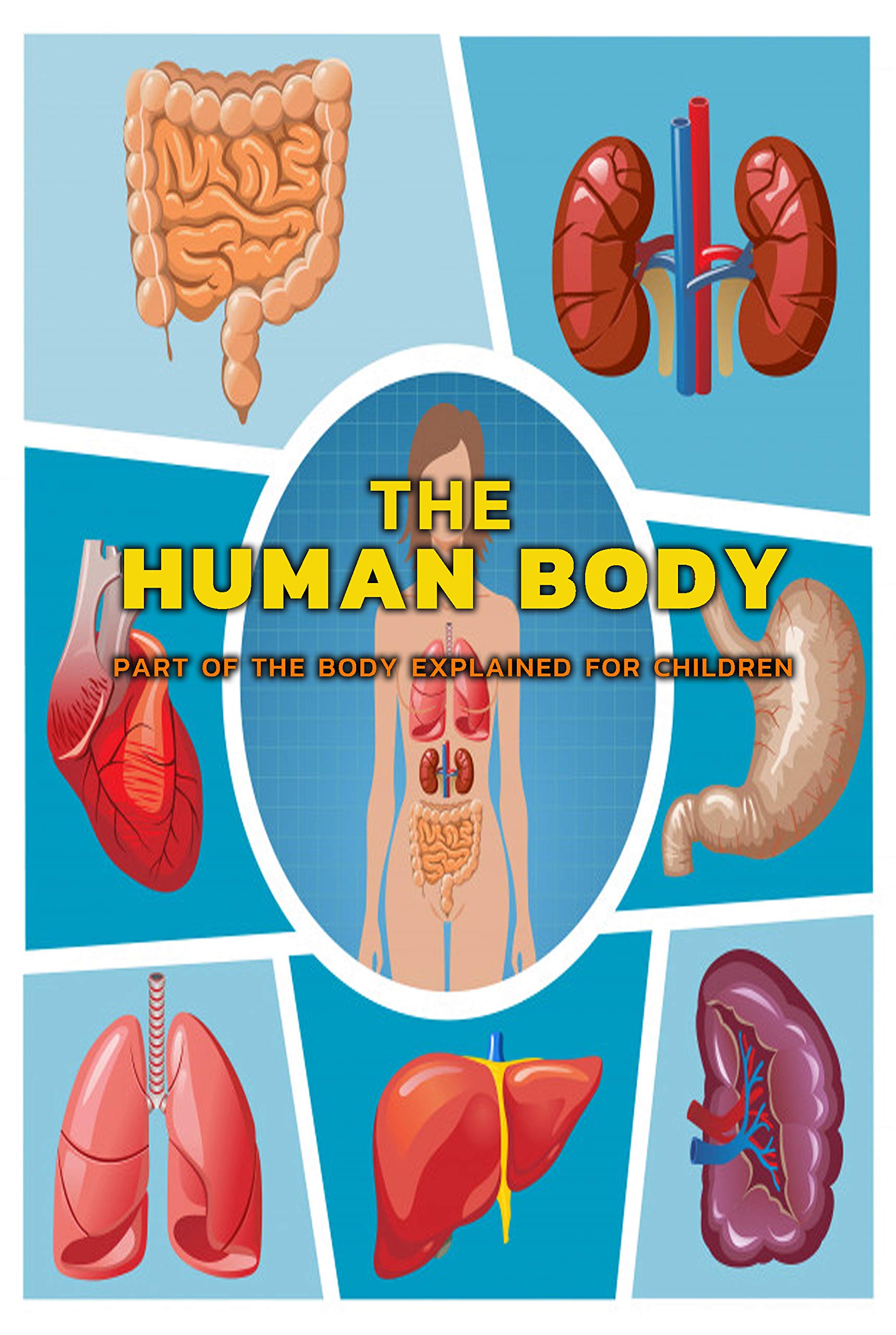 The Human Body Part Of The Body Explained For Children Christmas