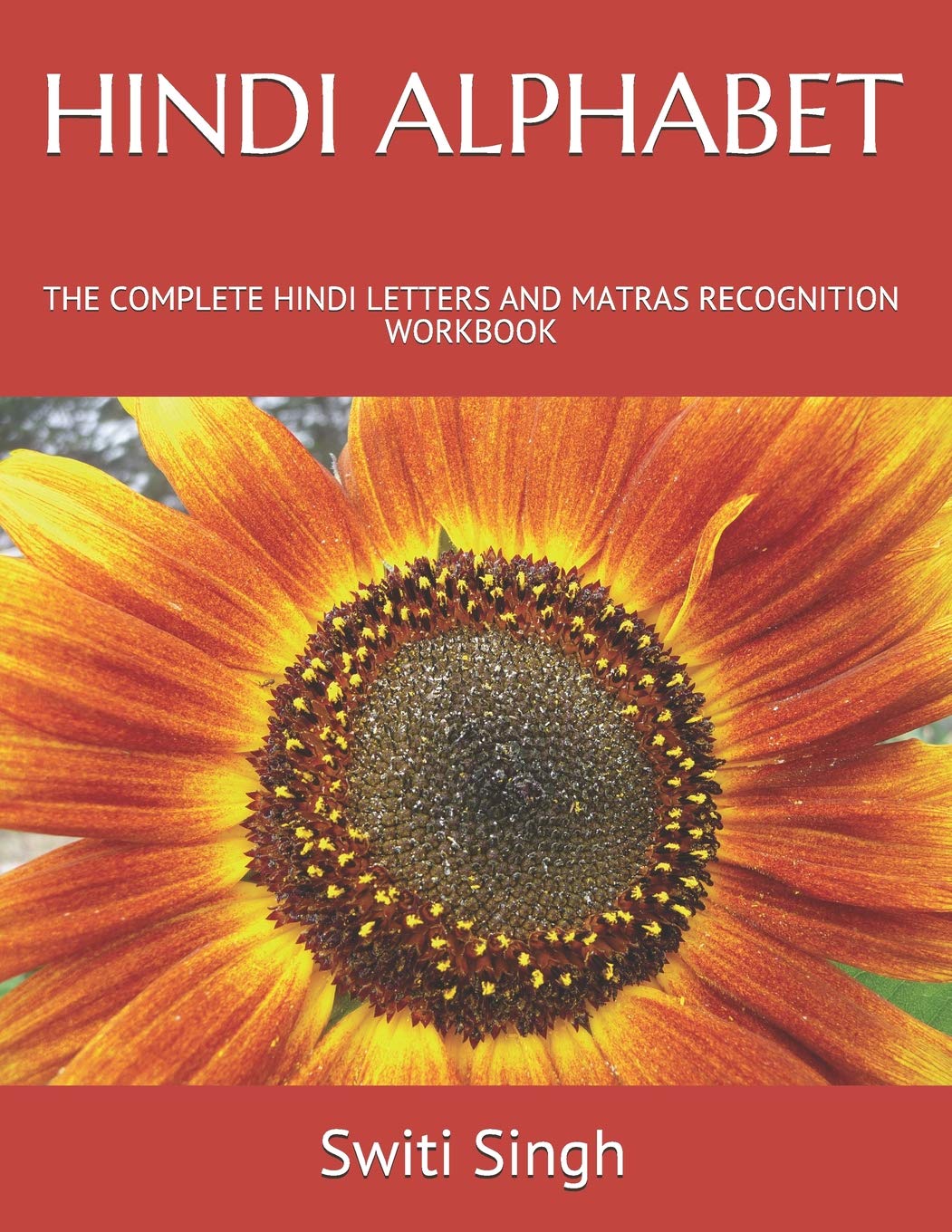 HINDI ALPHABET THE COMPLETE HINDI LETTERS AND MATRAS RECOGNITION hindi-alphabet-the-complete-hindi-letters-and-matras-recognition