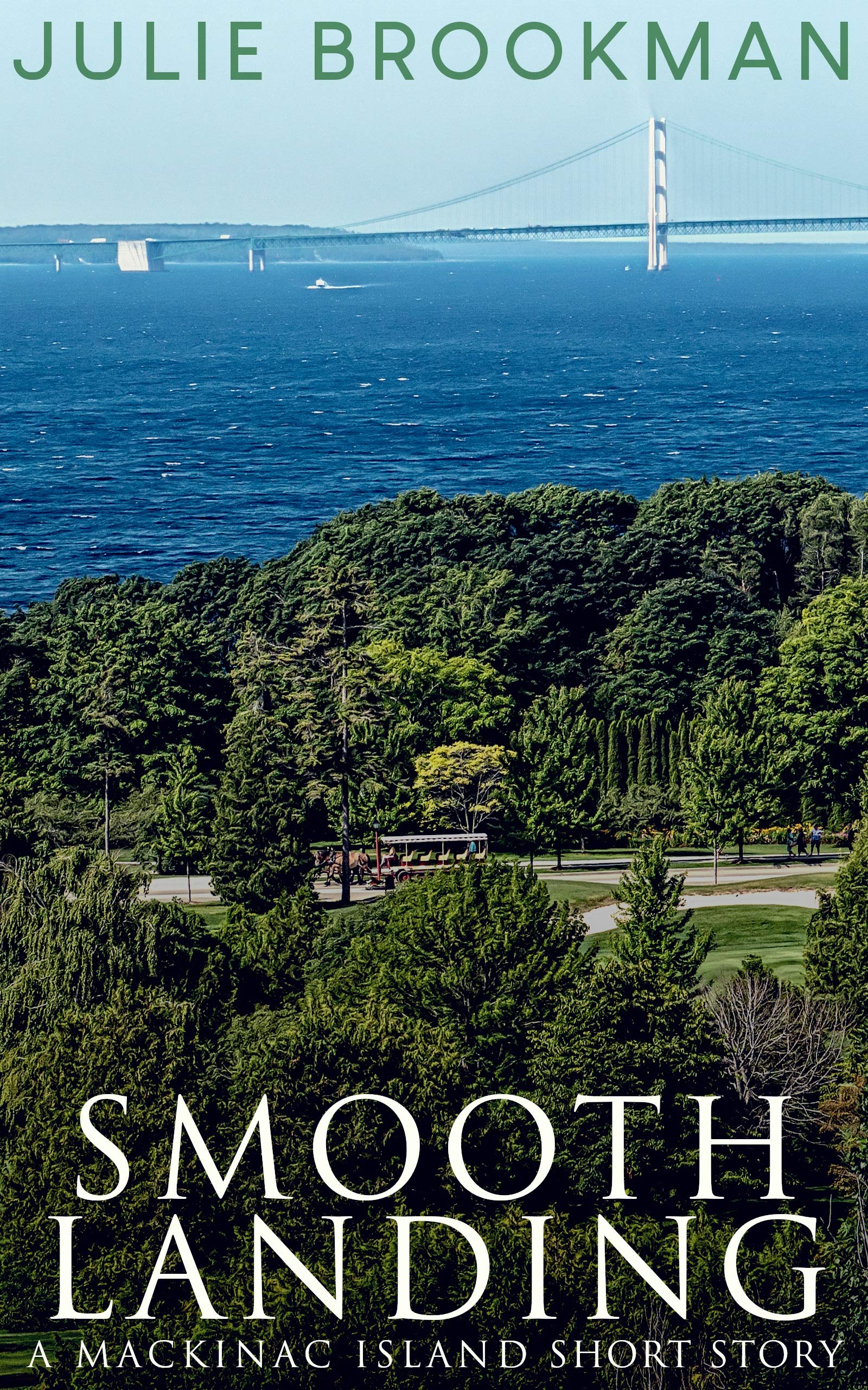 Smooth Landing by Julie Brookman | Goodreads