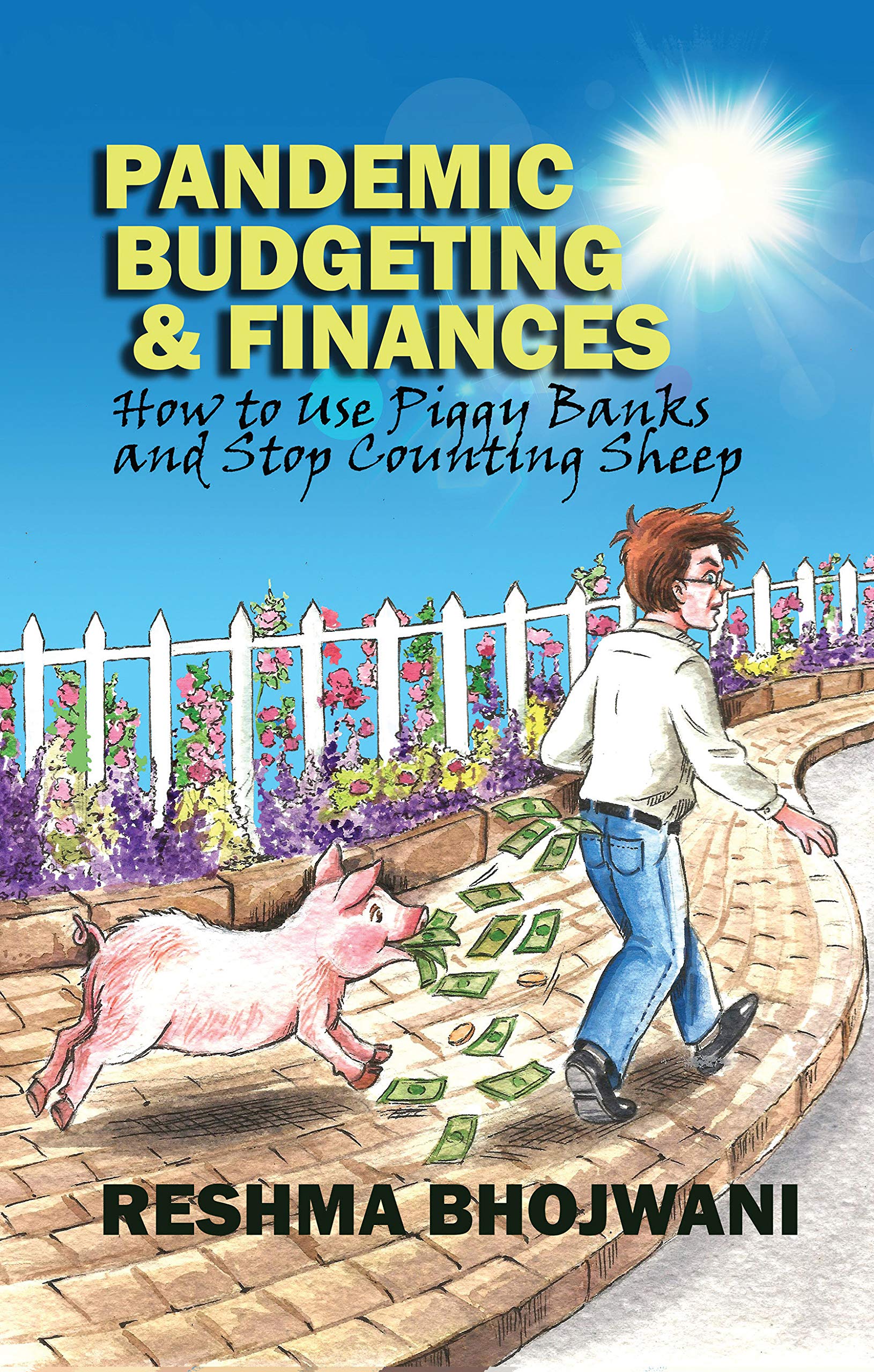 Pandemic Budgeting & Finances: How to Use Piggy Banks and Stop Counting ...