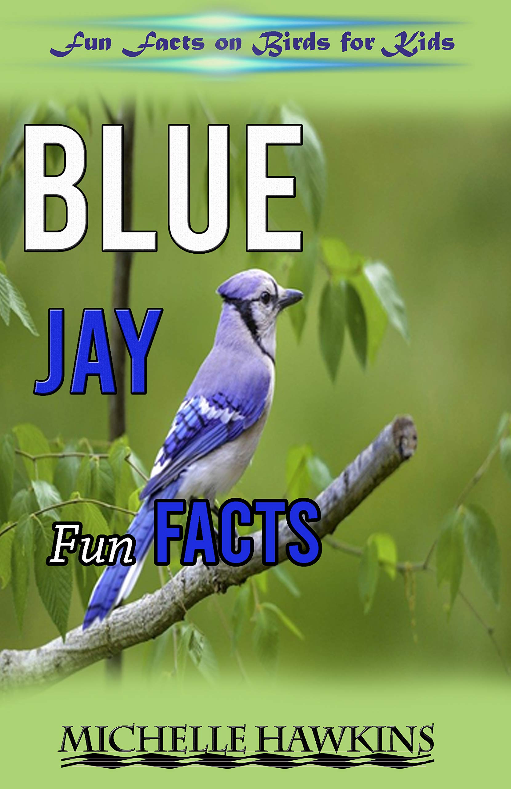 Blue Jays Fun Facts: A short illustrated book of facts to help children ...