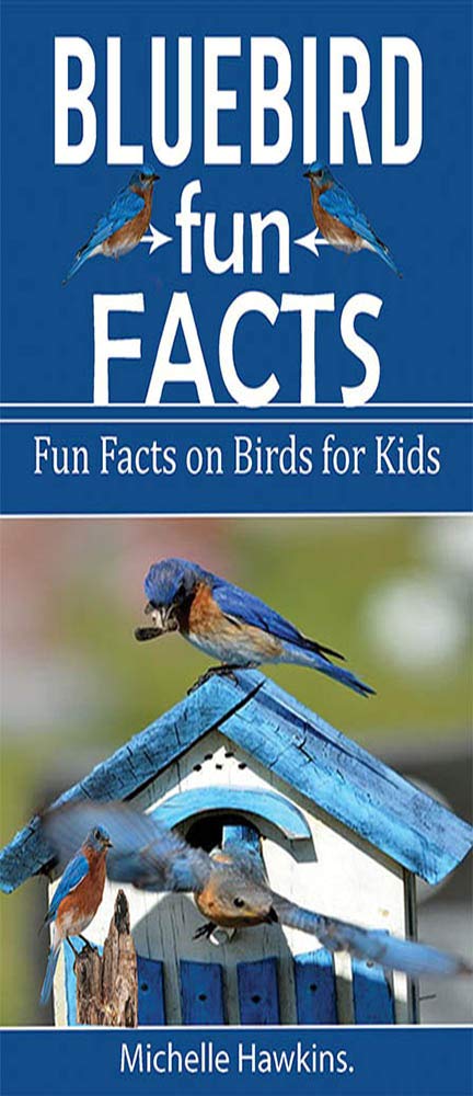 Bluebird Fun Facts (Fun Facts on Birds for Kids) by Michelle Hawkins ...