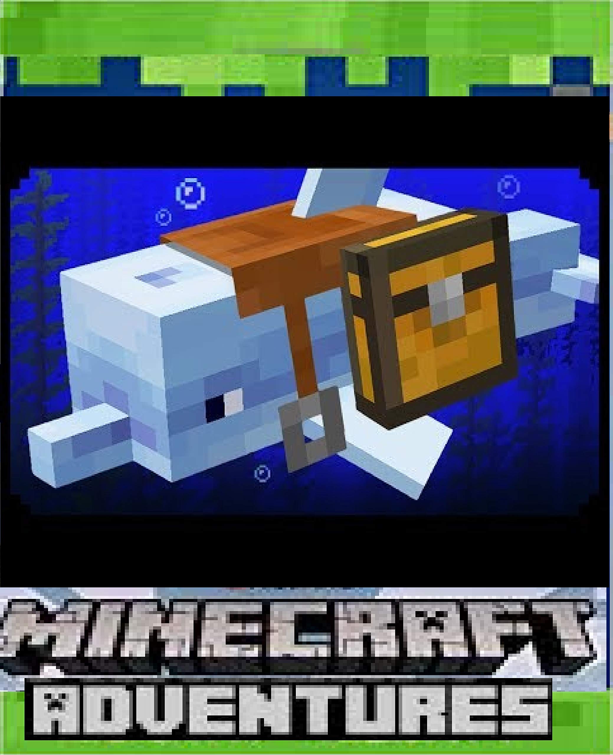 Minecraft- 10 Things You Didn't Know About Dolphins - ( Minecrafters ...