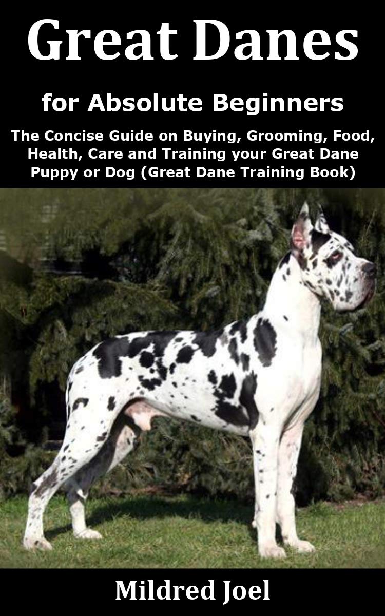 Great Danes for Absolute Beginners: The Concise Guide on Buying ...
