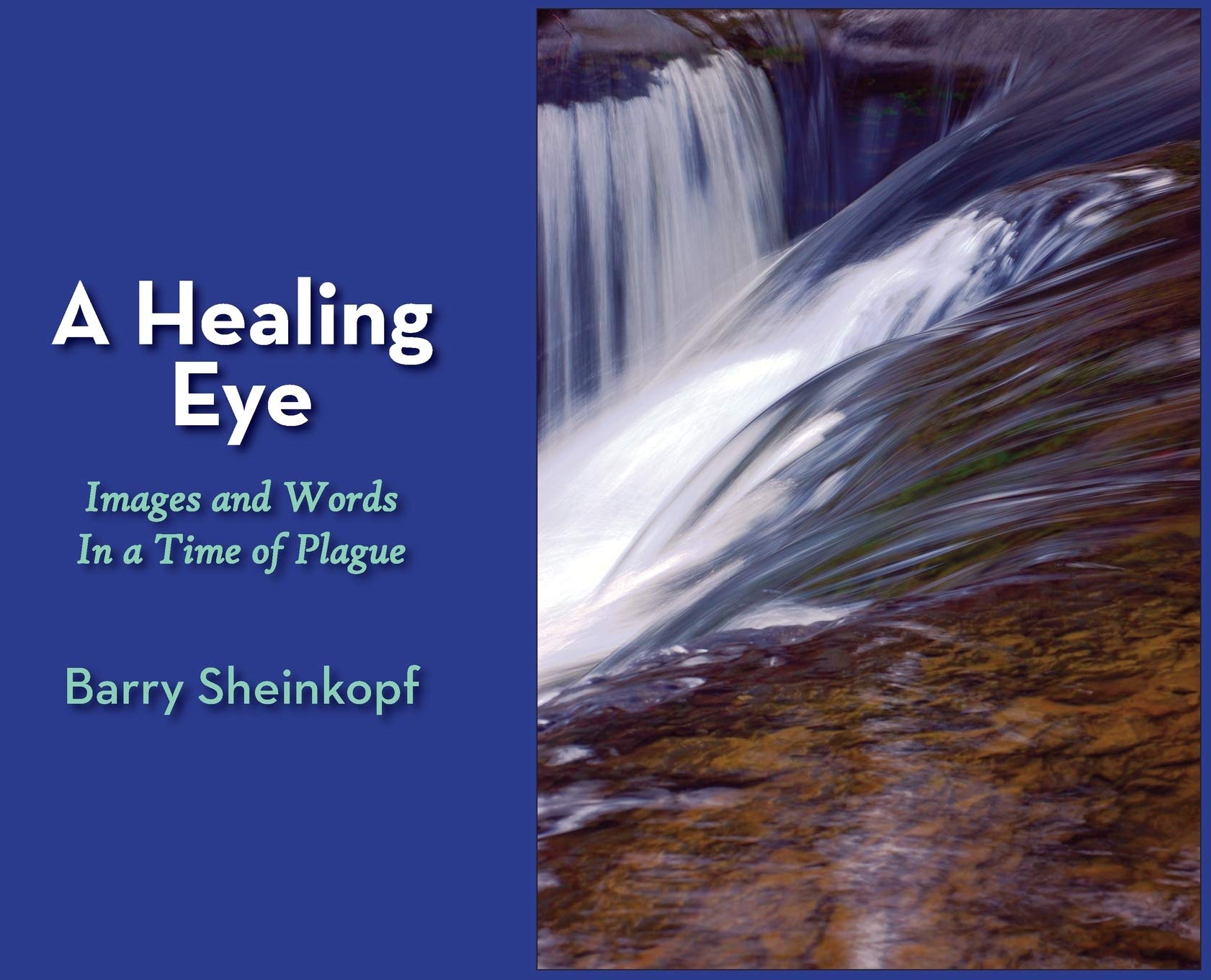 A Healing Eye: Images and Words in a Time of Plague by Barry Sheinkopf ...