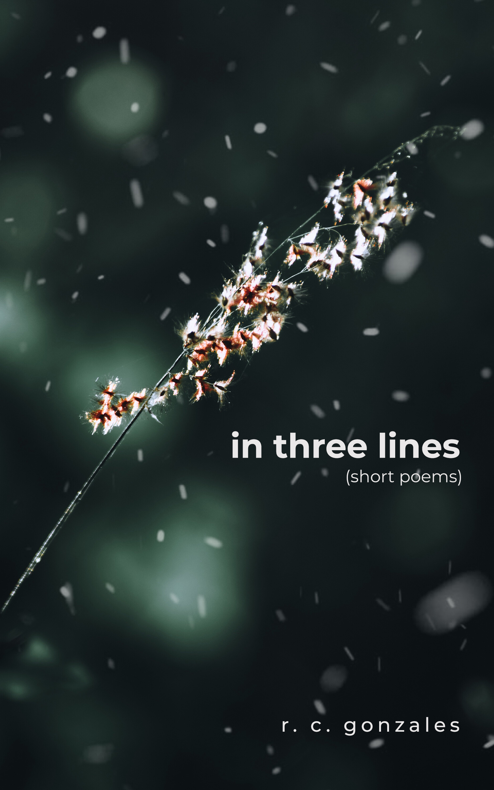 In Three Lines (short poems) by R.C. Gonzales | Goodreads