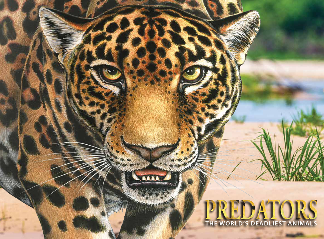 Predators: The World's Deadliest Animals by Paula Hammond | Goodreads