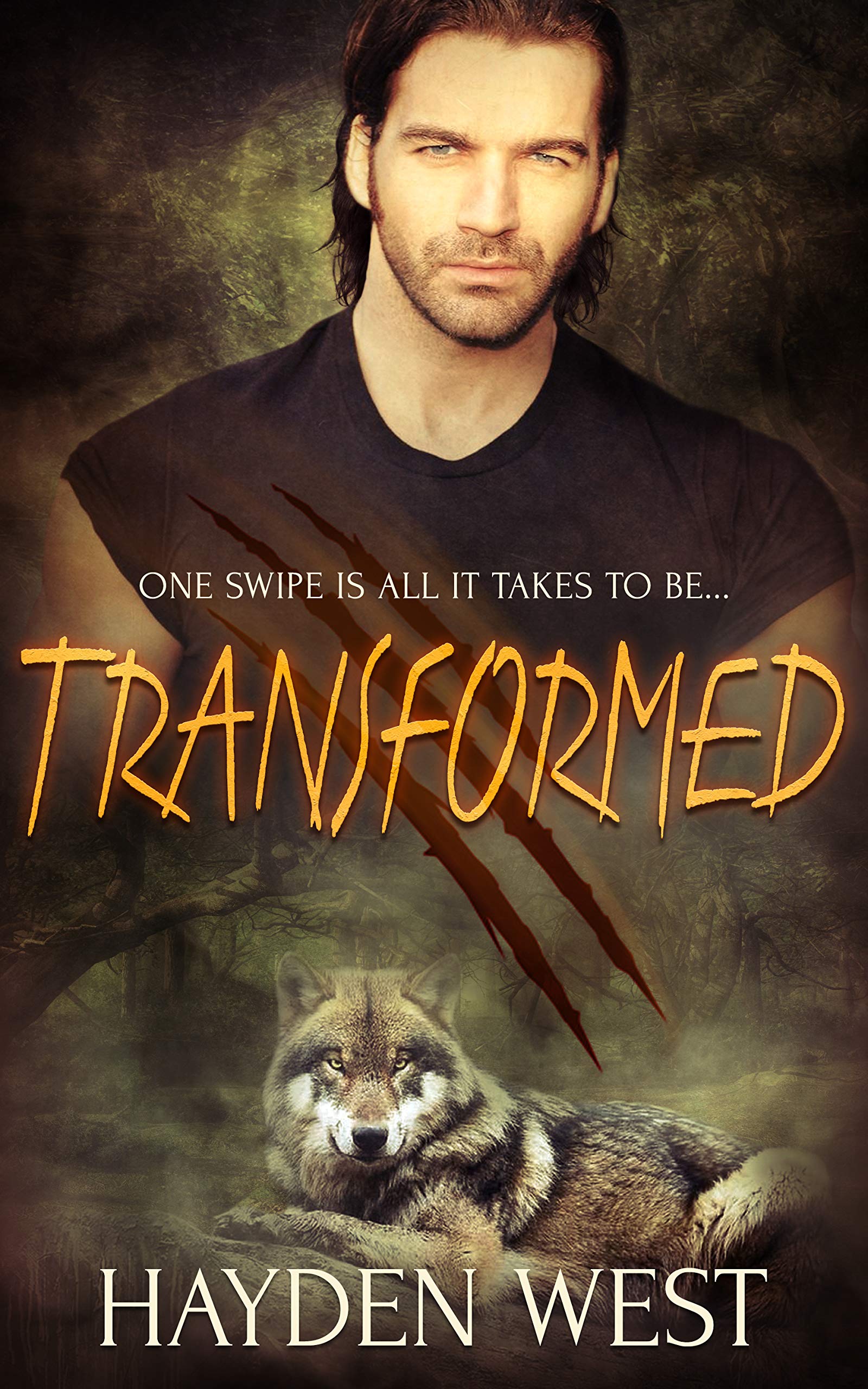 Transformed (Divoký Wolves, #1) by Hayden West | Goodreads