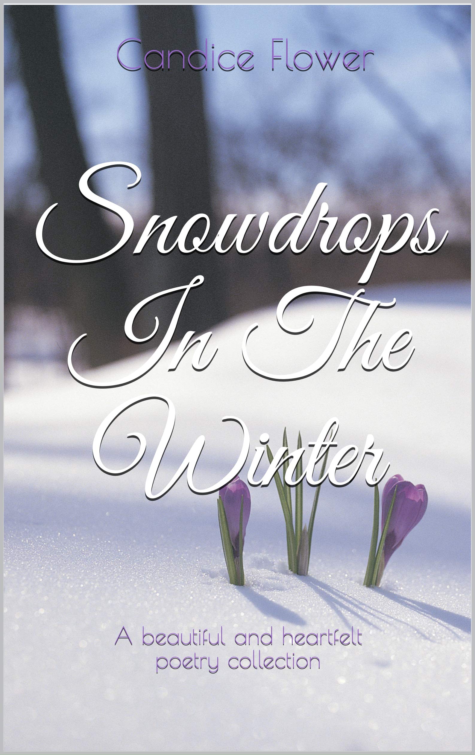 Snowdrops In The Winter: A beautiful and heartfelt poetry collection by ...