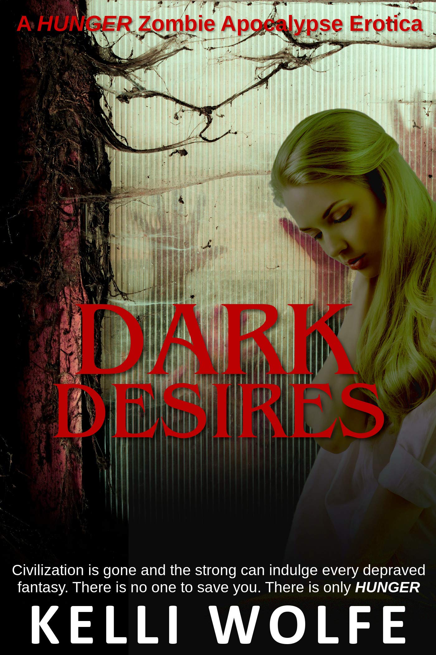 Dark Desires: A Zombie Apocalypse Erotica by Kelli Wolfe | Goodreads