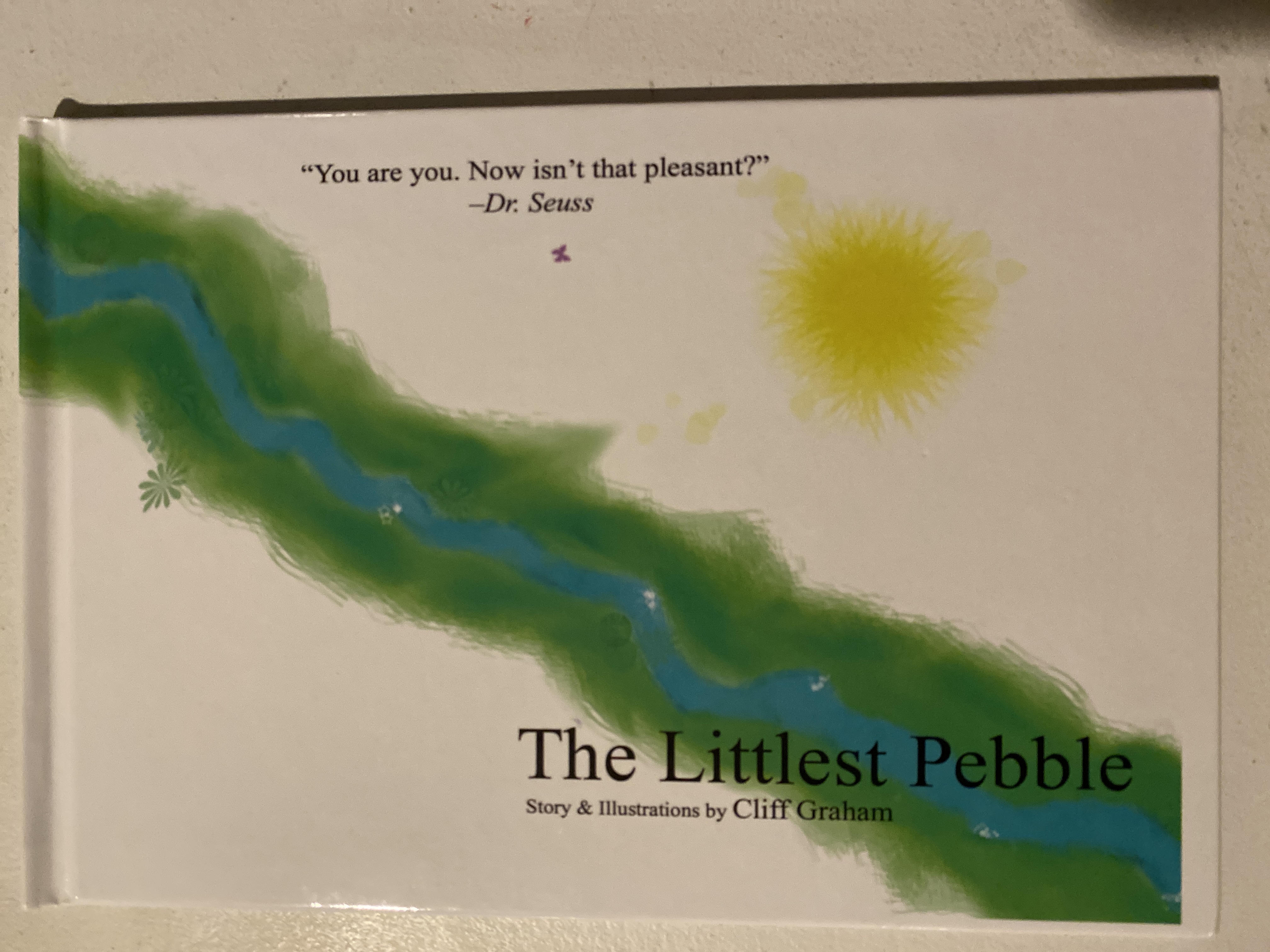 The Littlest Pebble by Cliff Graham | Goodreads