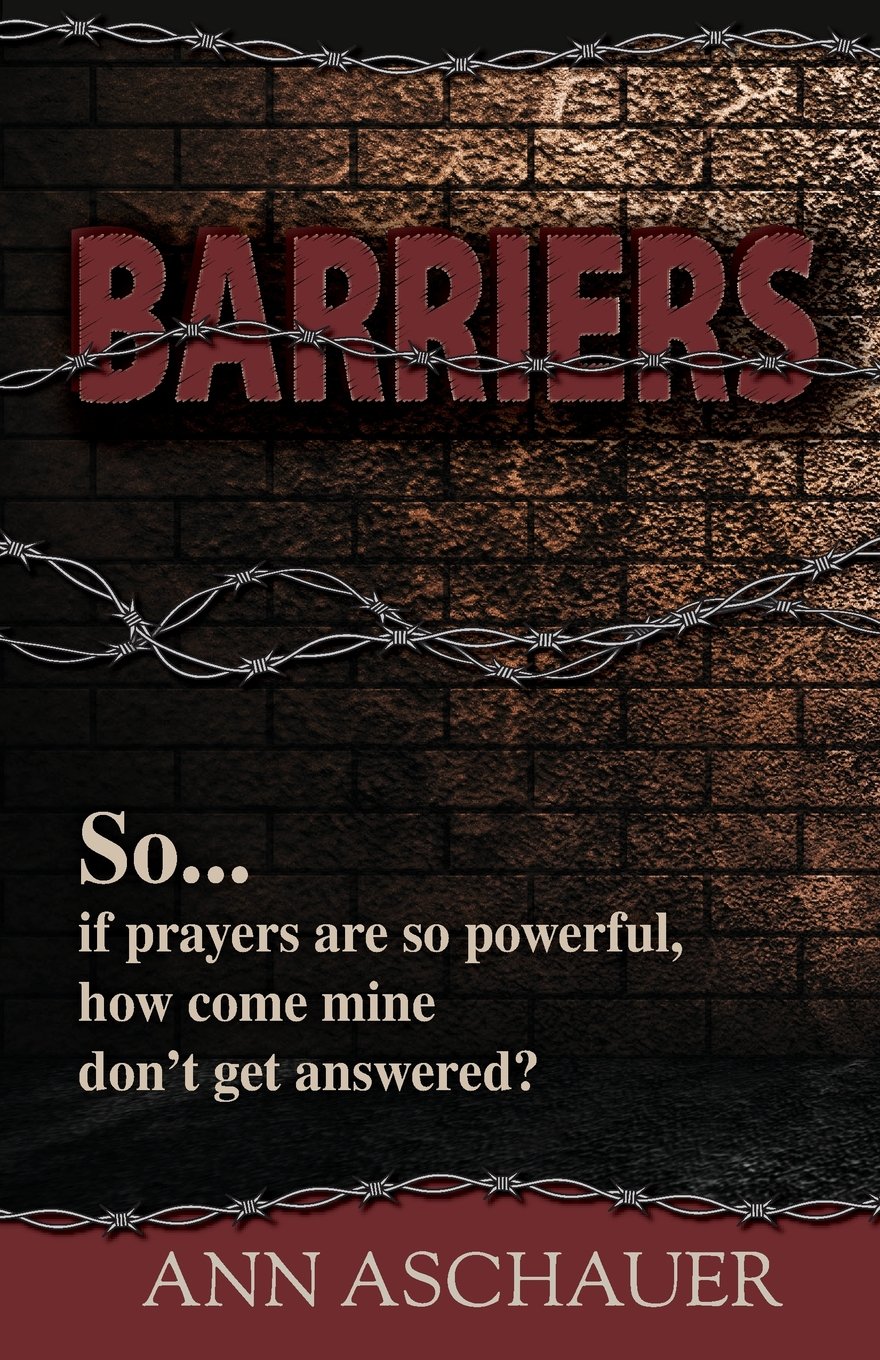 Barriers by Ann Aschauer | Goodreads