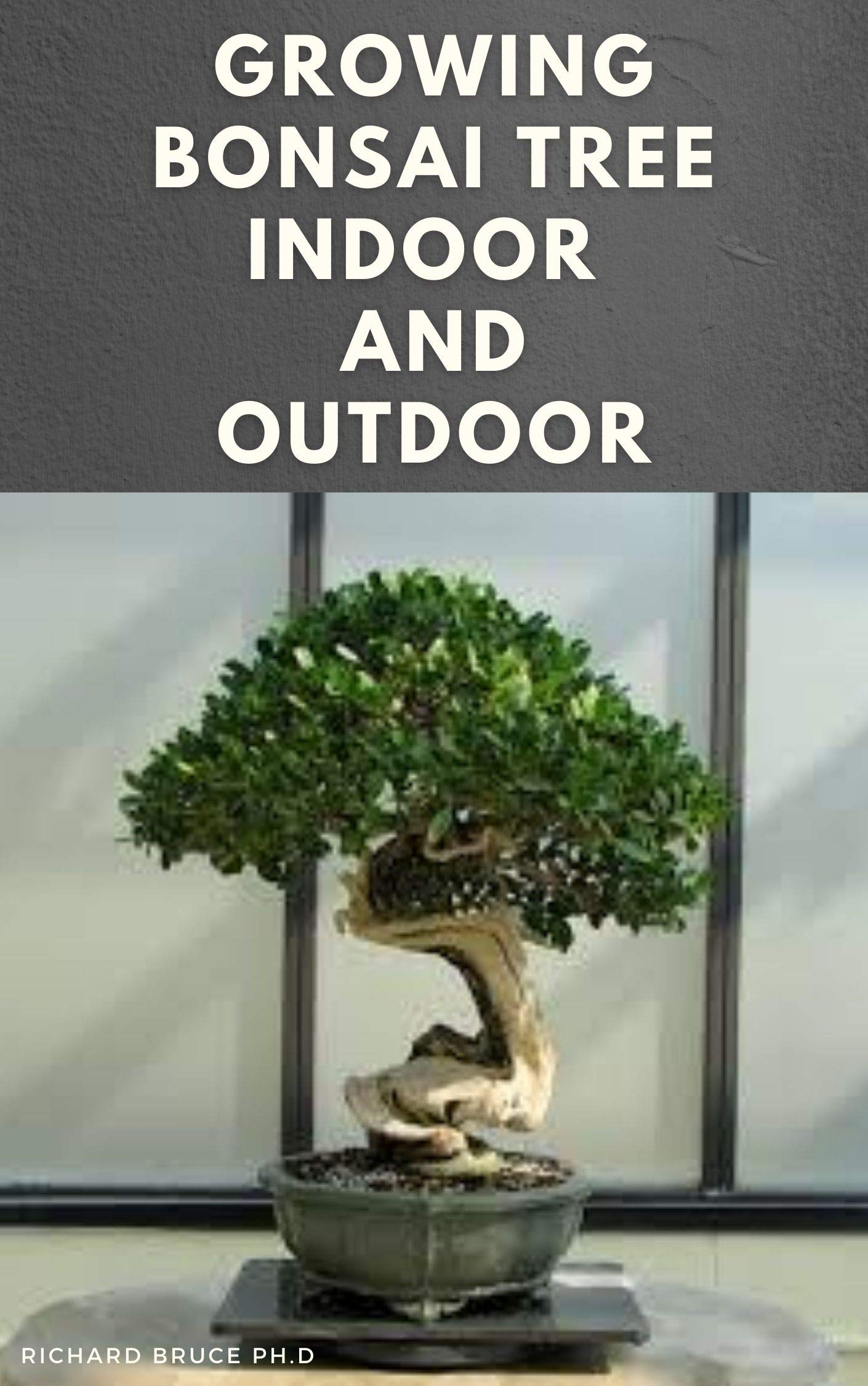 GROWING BONSAI TREE INDOOR AND OUTDOOR: Step By Step Guide To Growing ...