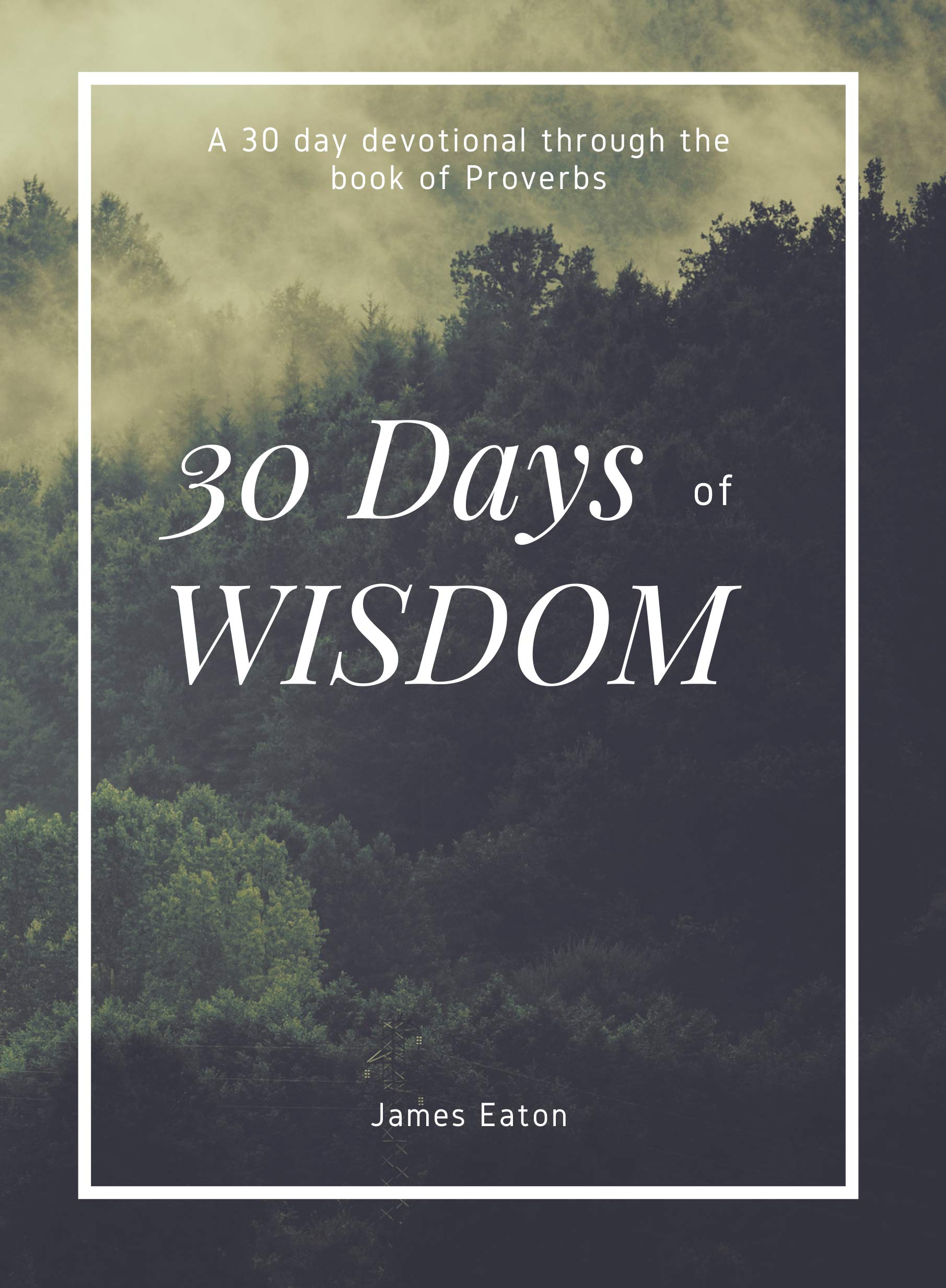 30 Days of Wisdom: A 30 day devotional through the book of Proverbs by ...