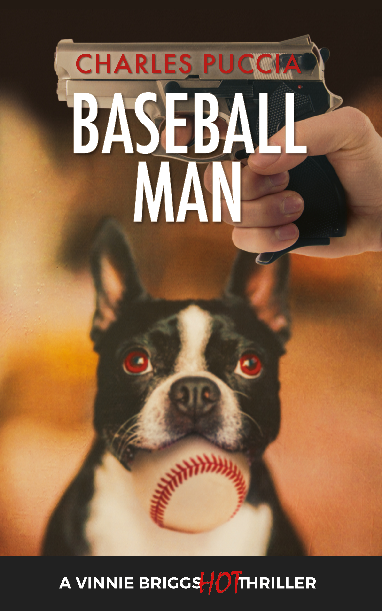 Baseball Man (Vinnie Briggs Hot, #2) by Charles Puccia | Goodreads
