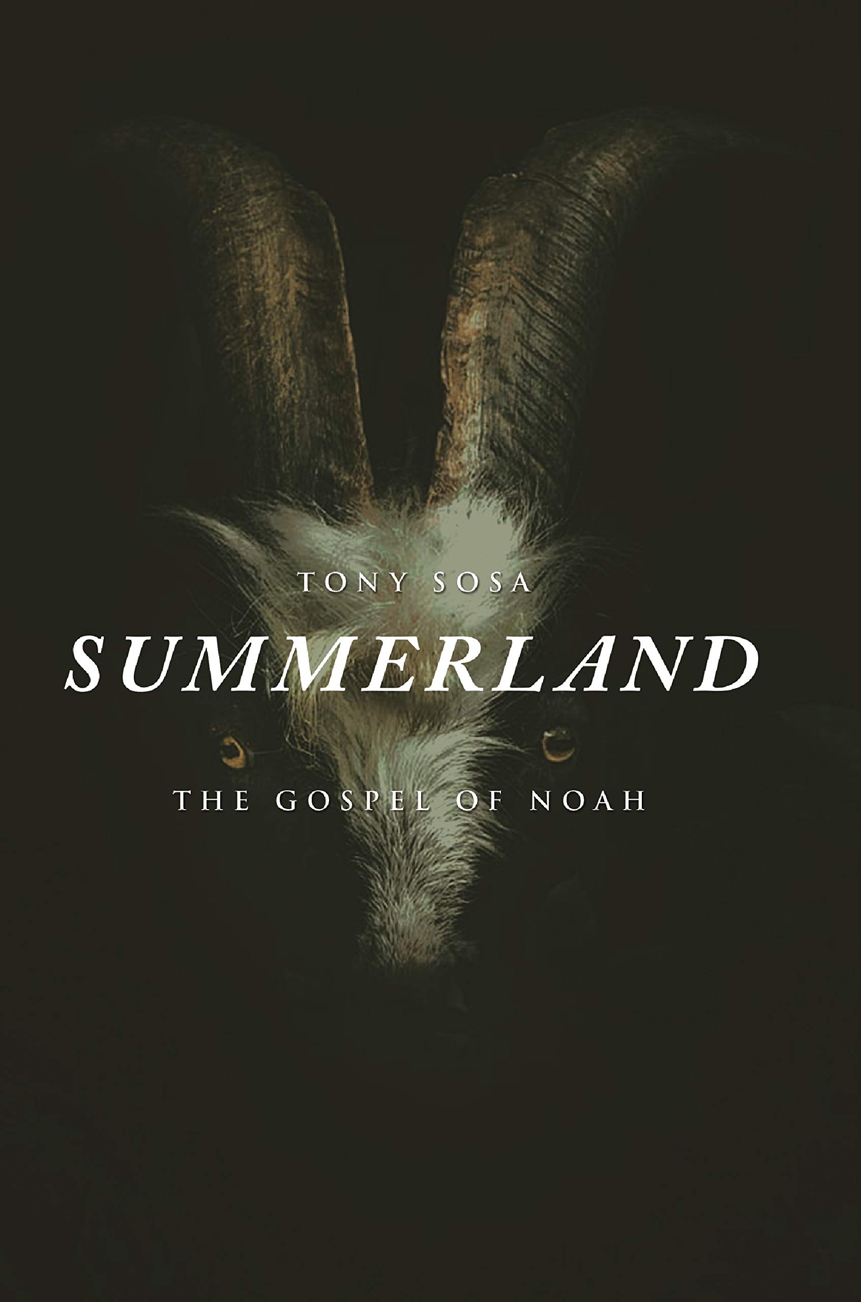 Summerland: The Gospel of Noah by Tony Sosa | Goodreads