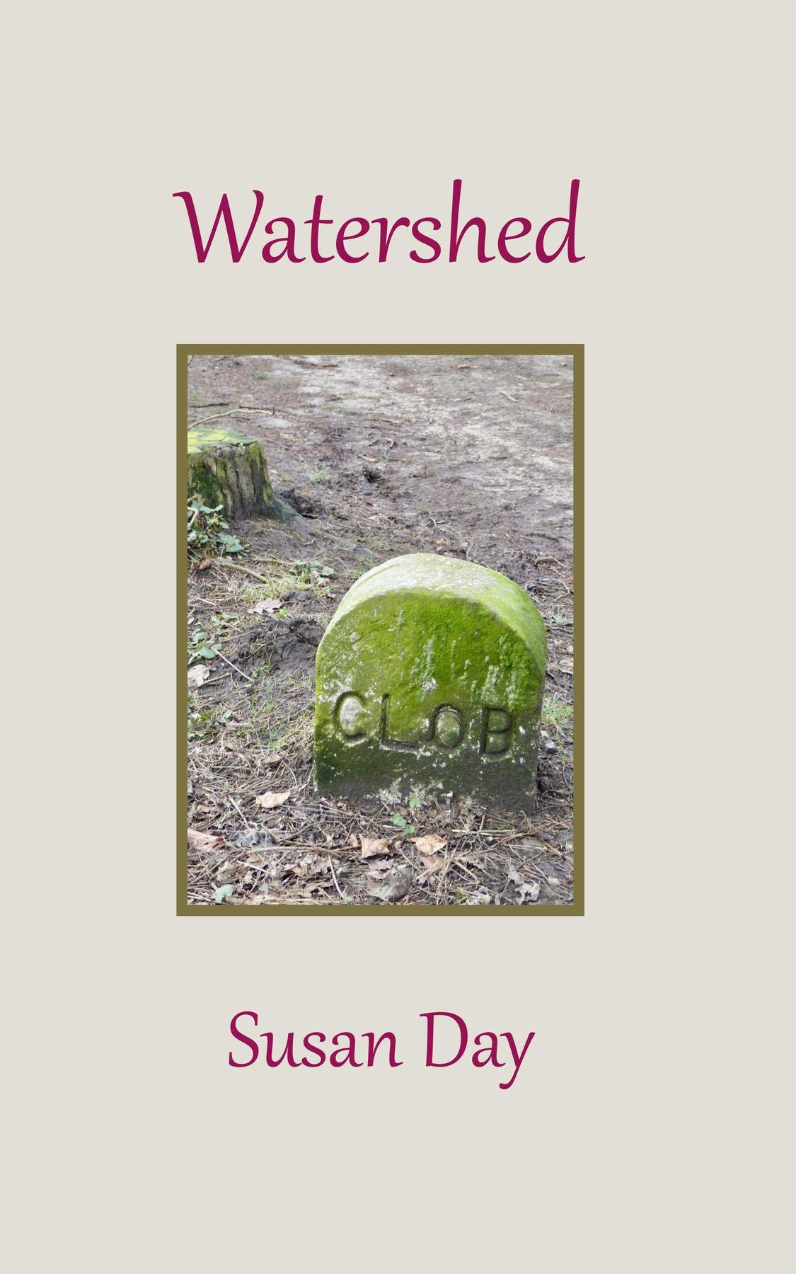 Watershed by Susan Day | Goodreads