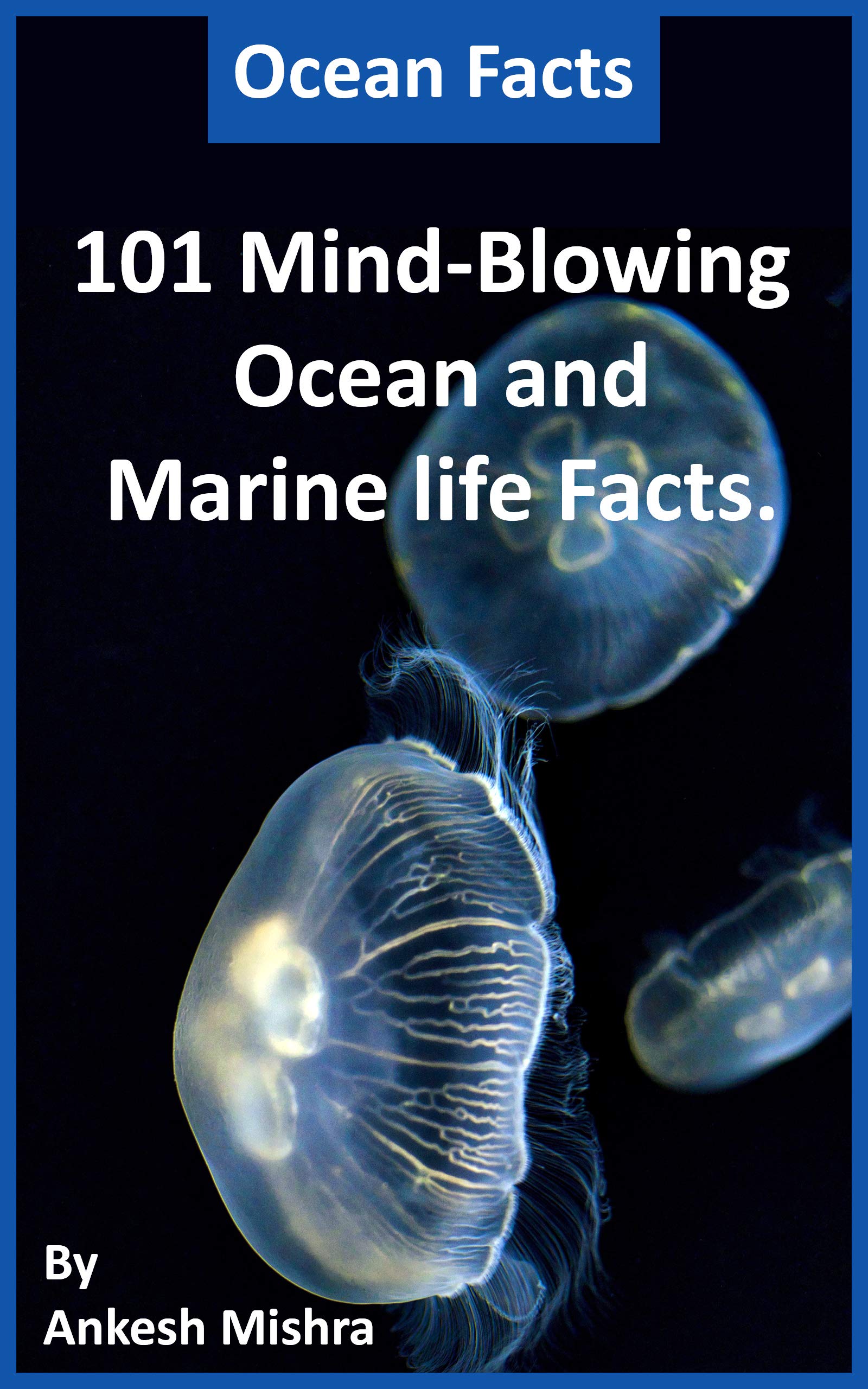 Ocean Facts: 101 Mind-Blowing Ocean and Marine life Facts.: Ocean book ...