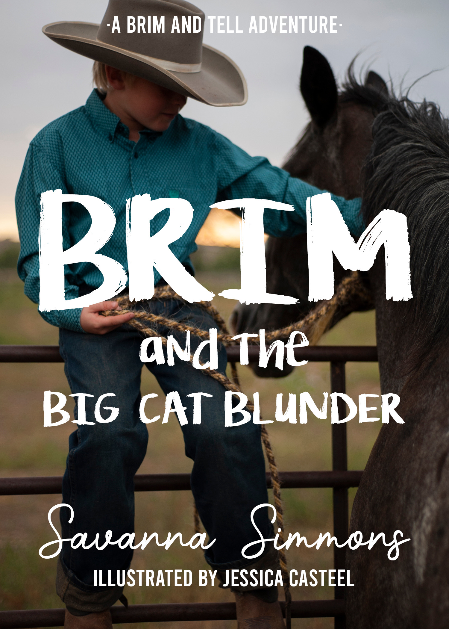 Brim and the Big Cat Blunder by Savanna Simmons | Goodreads