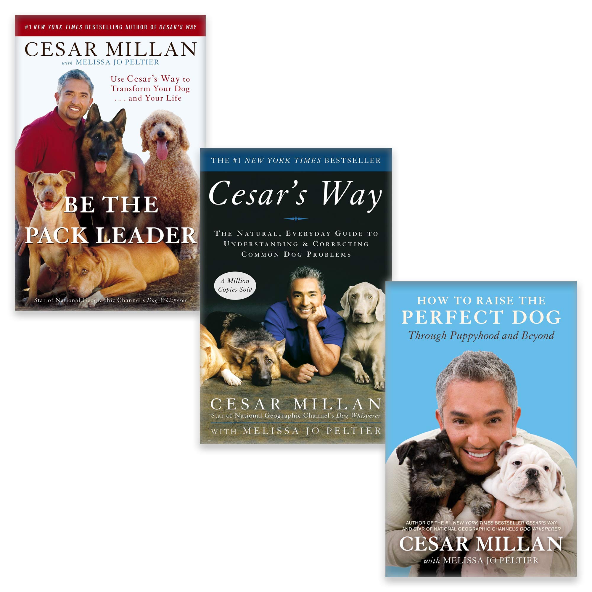 Cesar Milan 3 Books Collection Set by Cesar Millan | Goodreads