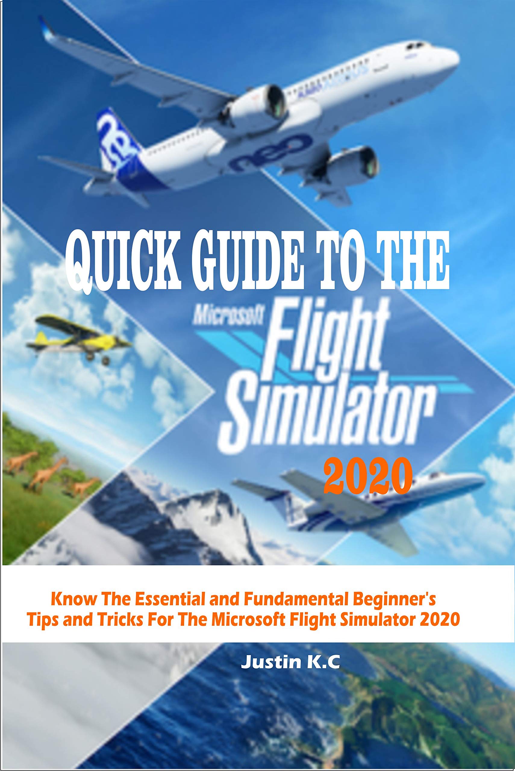 QUICK GUIDE TO THE MICROSOFT FLIGHT SIMULATOR 2020 : Know The Essential ...