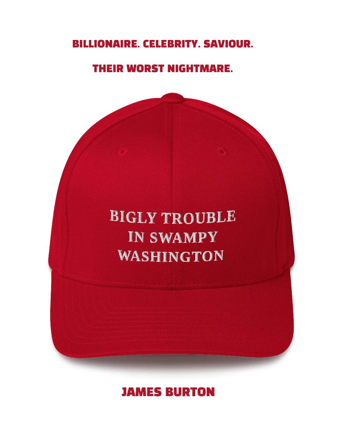 Bigly Trouble in Swampy Washington by James Burton | Goodreads